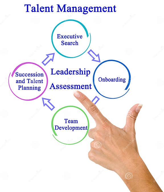 Components of Talent Management Stock Image - Image of four, female ...
