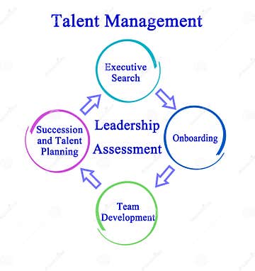 Components of Talent Management Stock Photo - Image of components ...