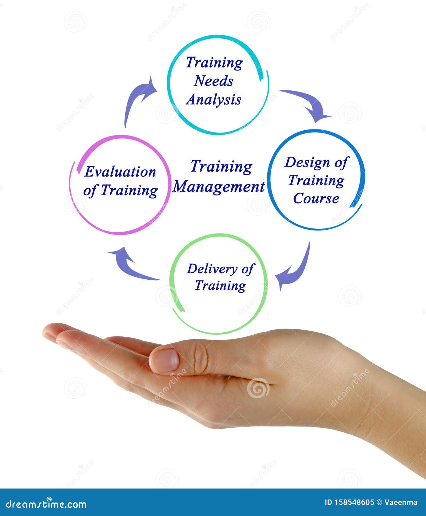 Components of Training Management Stock Image - Image of evaluation ...