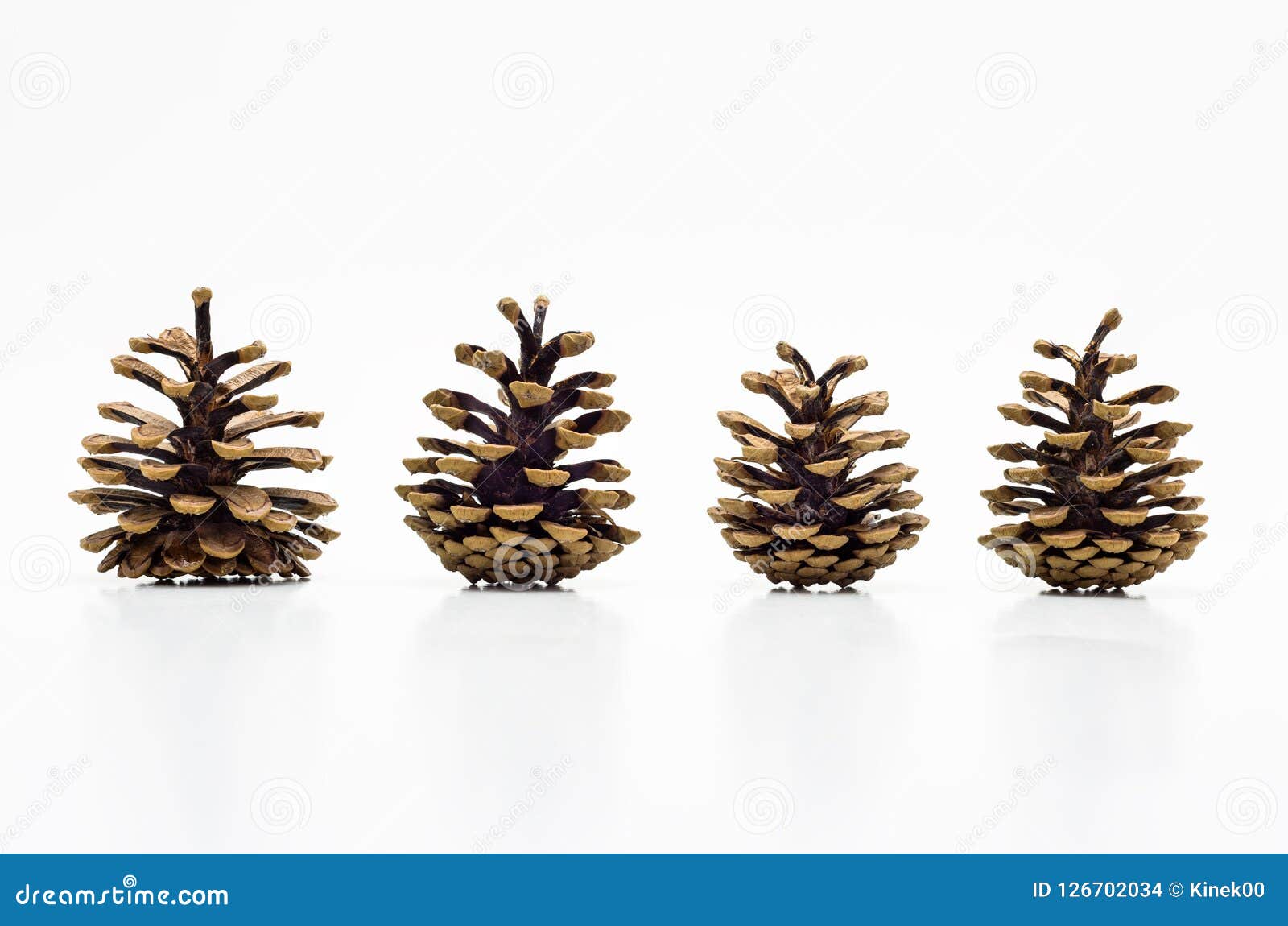 Four Cones Isolated on a White Background with a Clipping Path. Stock ...