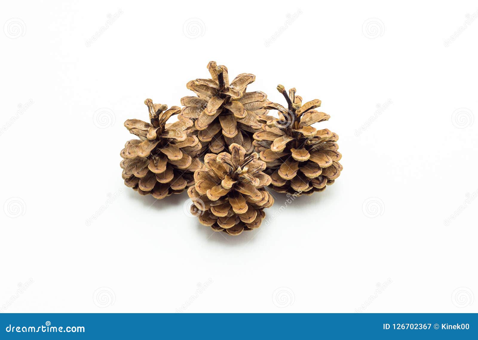 Four Cones Isolated on a White Background with a Clipping Path. Stock ...