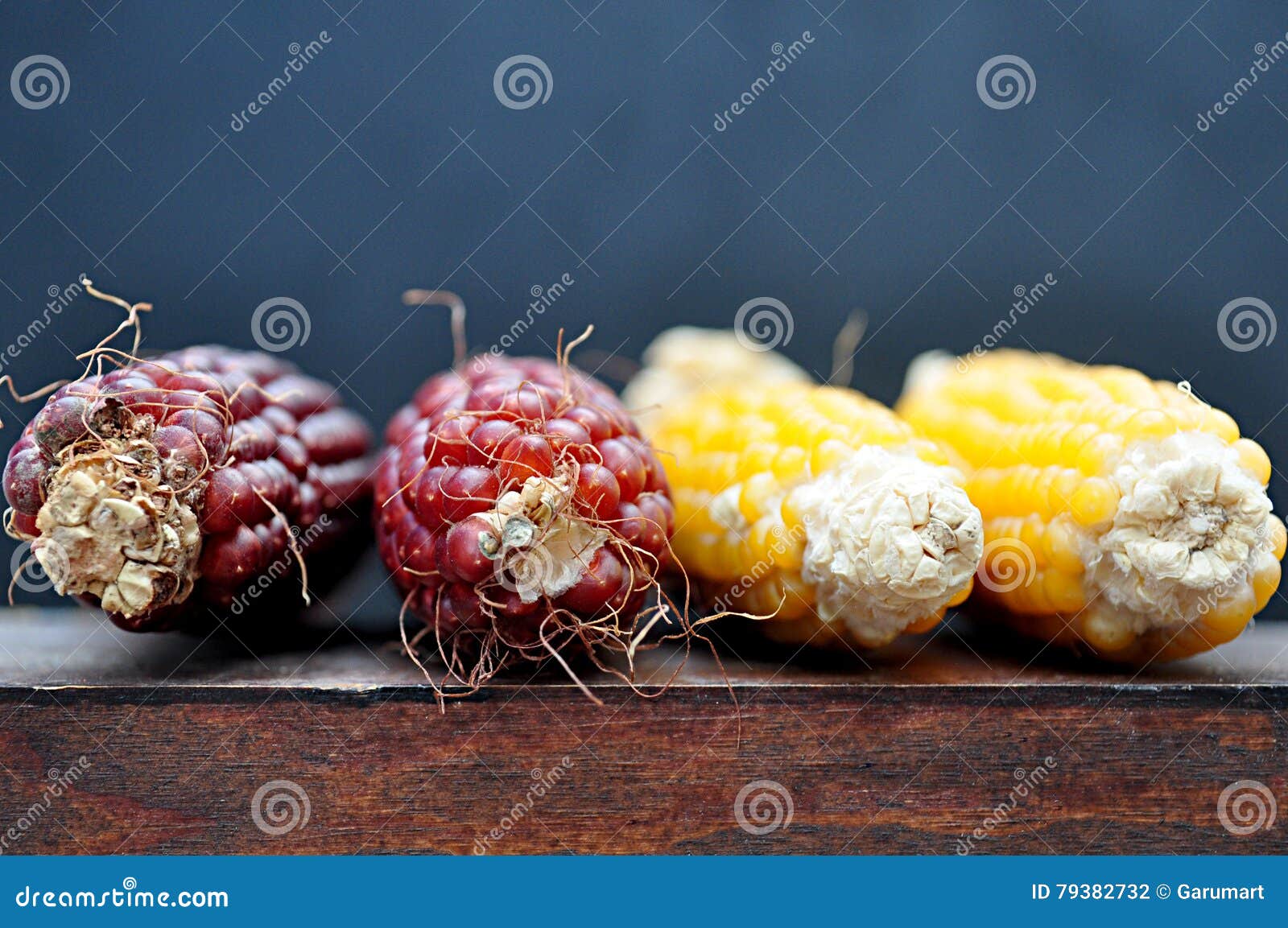 Four corn cobs stock photo. Image of crops, ripe, maize - 79382732