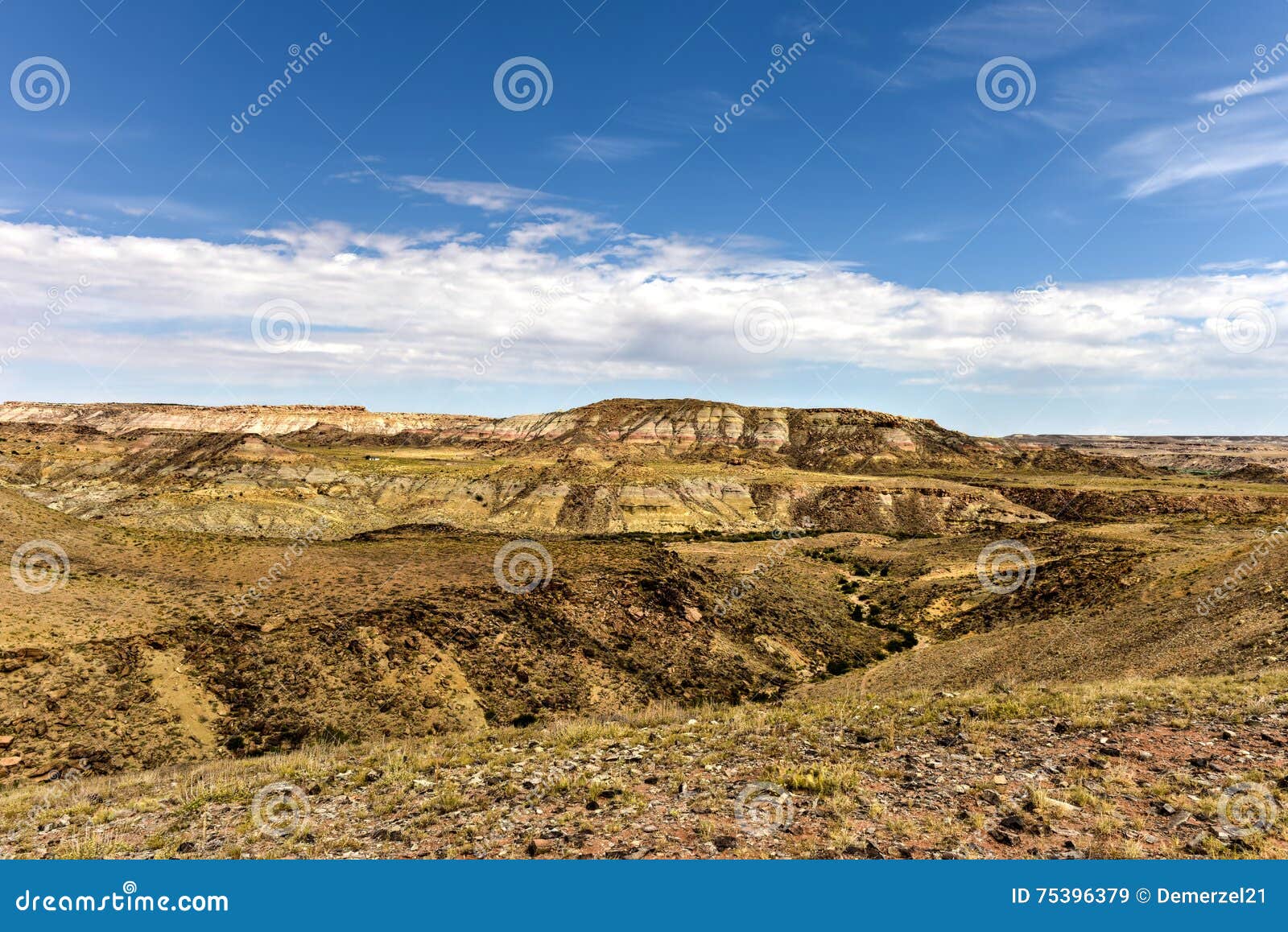Four Corners - Nature Landscape Stock Image - Image of plug, grass ...