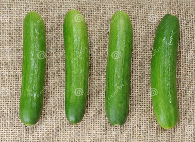 Four cucumbers stock photo. Image of ingredient, backgrounds - 32391168