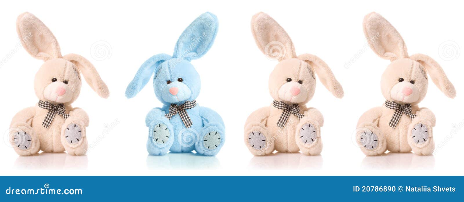 Four Cute Rabbits Isolated on White Background Stock Photo - Image of ...