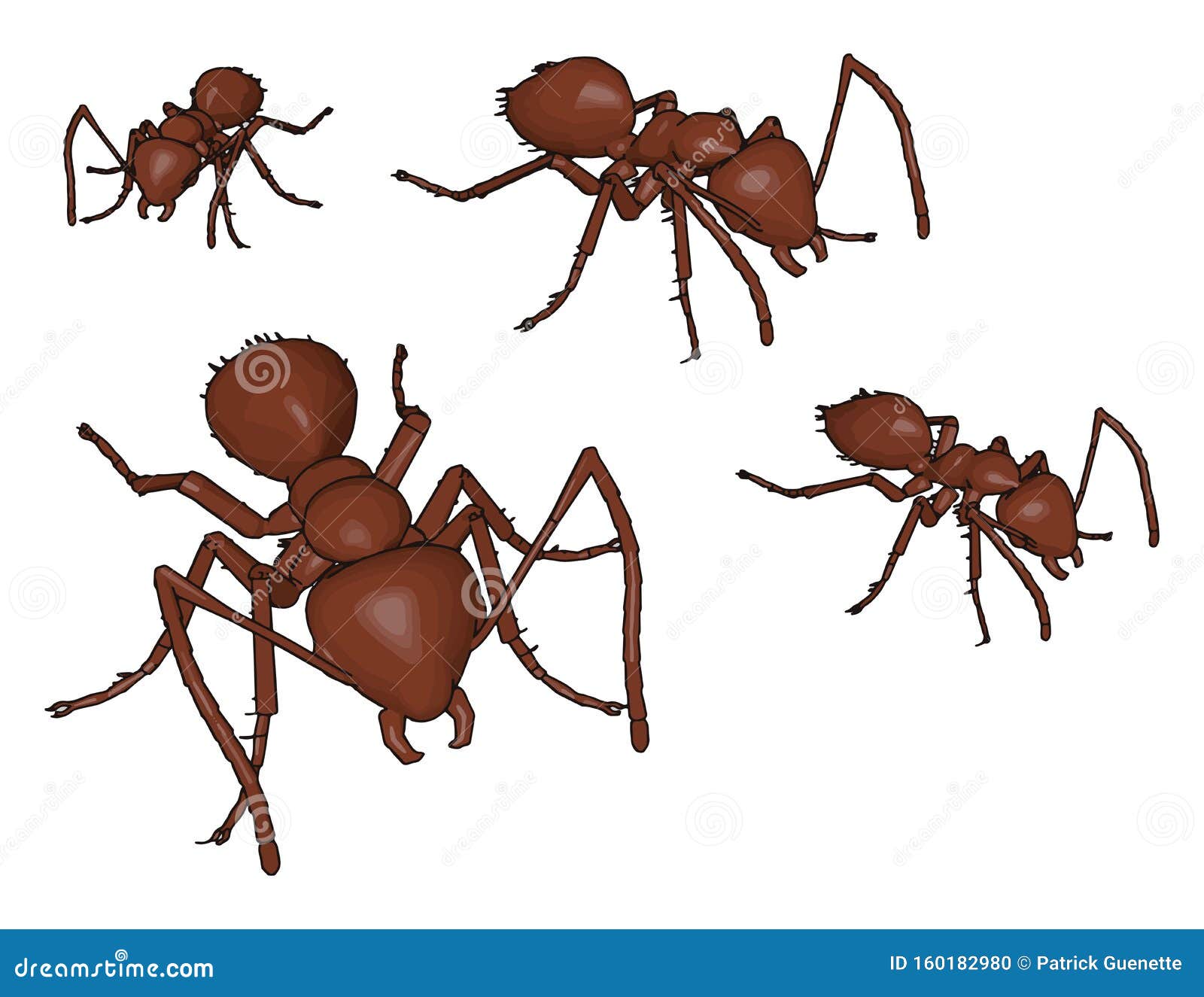 Four 3D Brown Ants, Illustration, Vector Stock Vector - Illustration of ...
