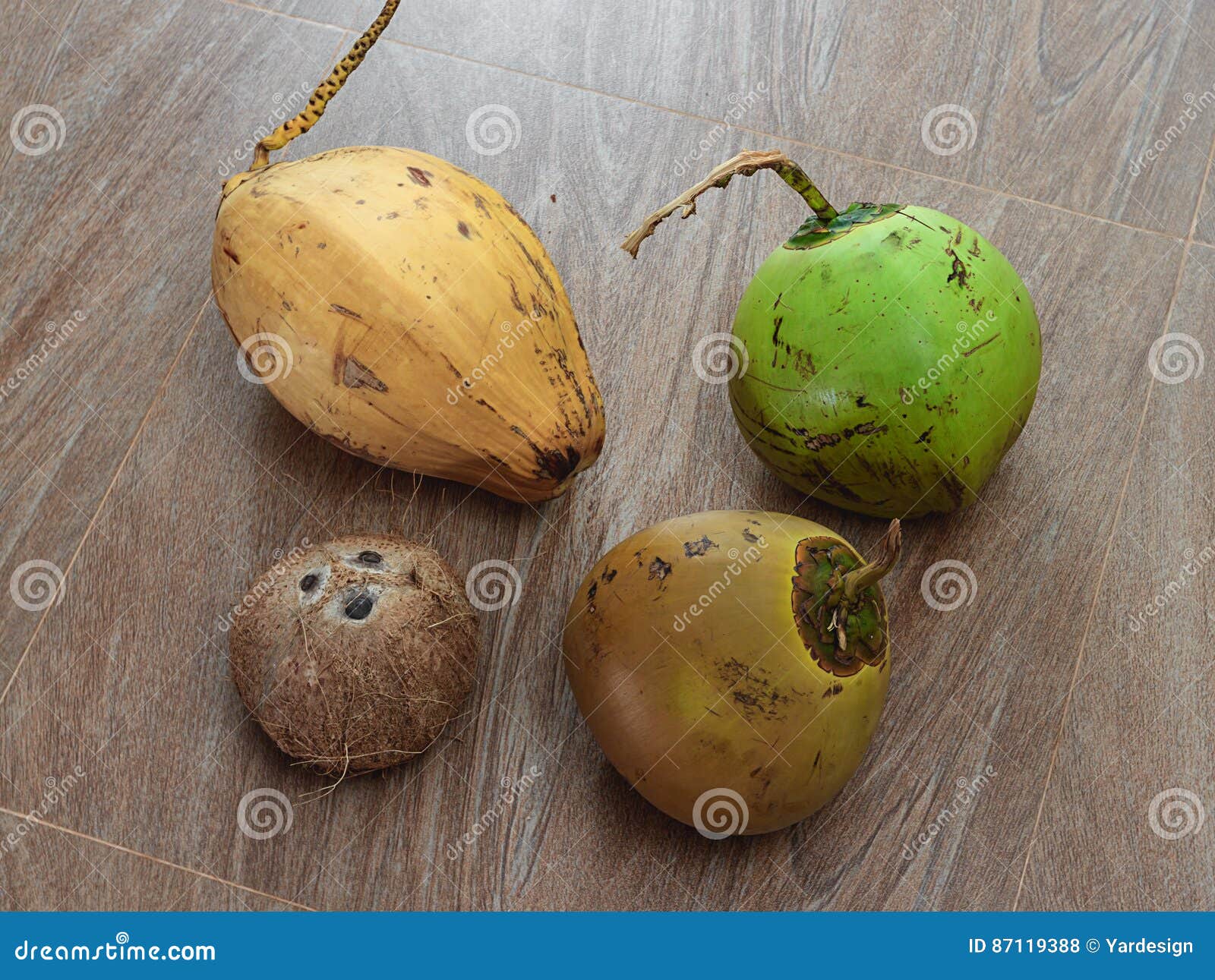 Four Different Coconuts on Table Stock Photo - Image of comparing ...