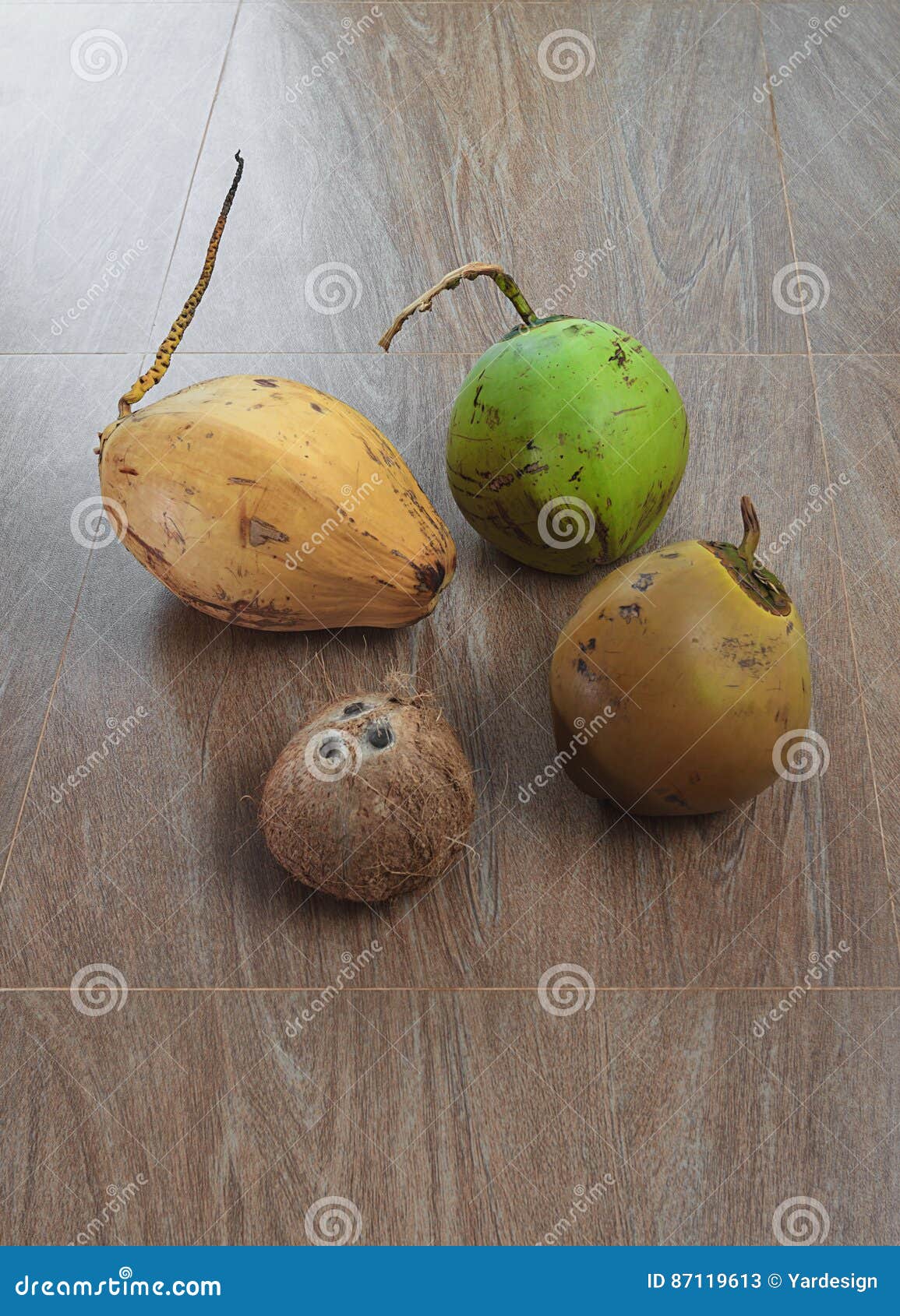 Four Different Coconuts on Table Stock Image - Image of individuality ...