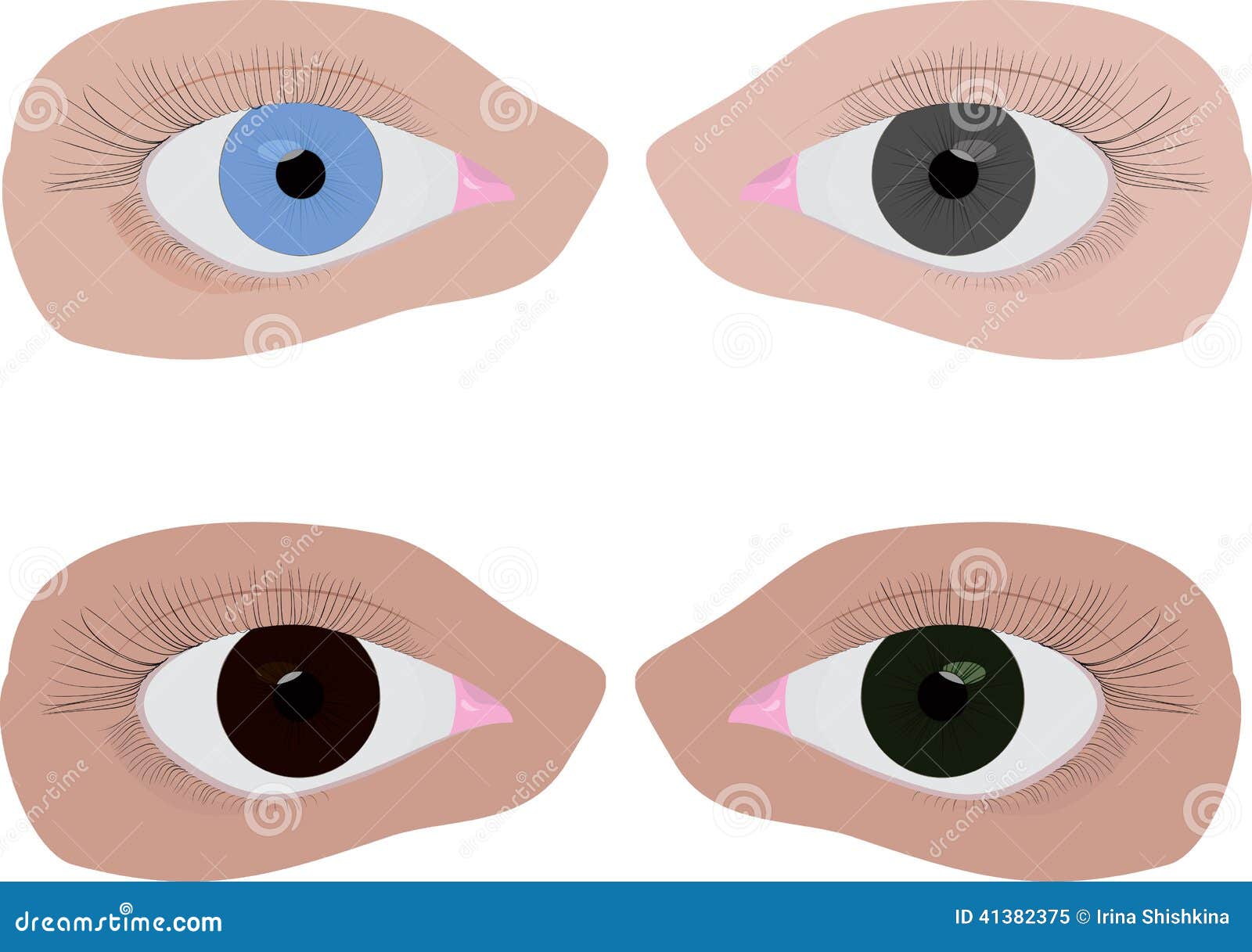 Four different colour eyes stock vector. Illustration of iris - 41382375