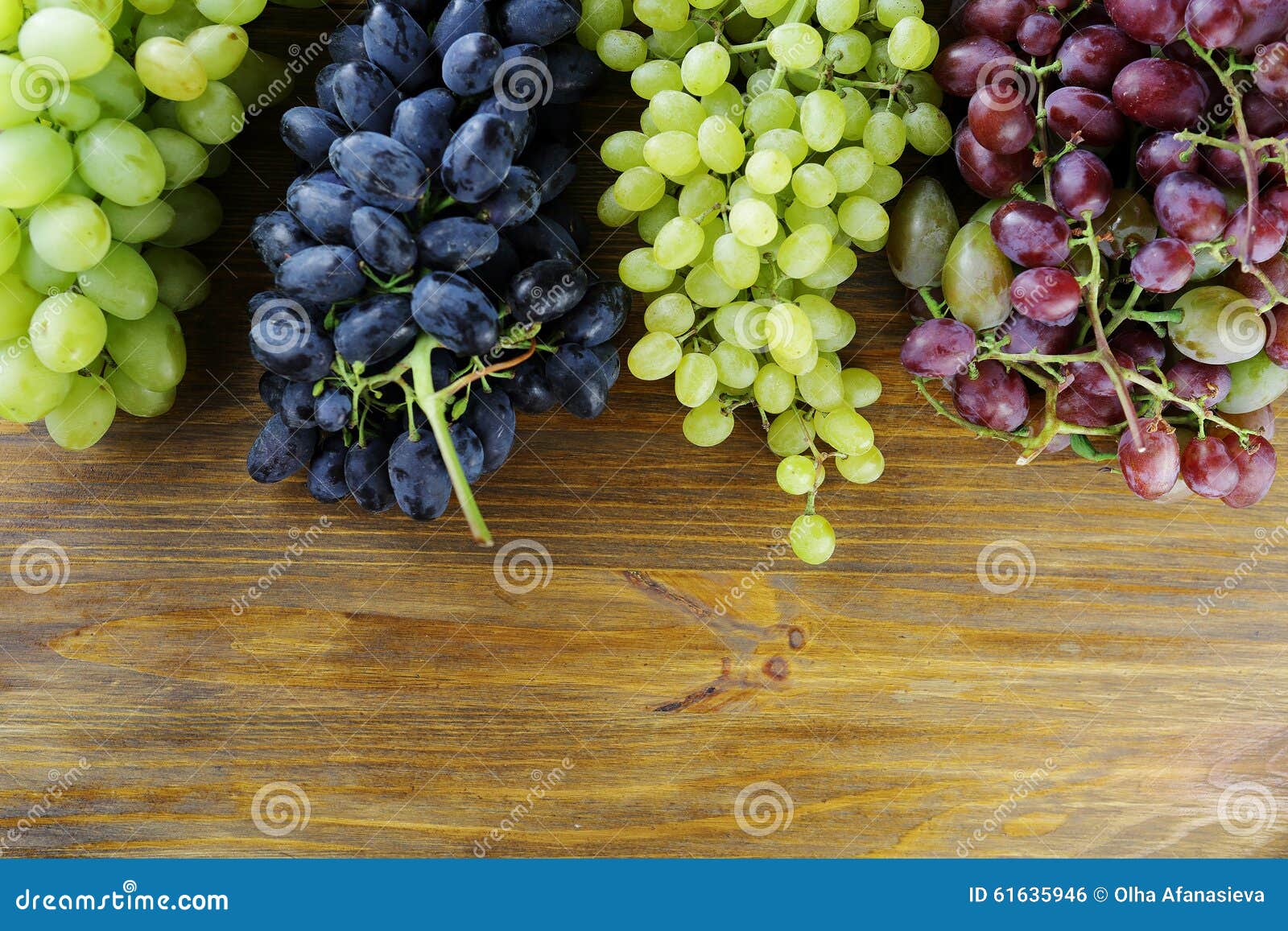Four Different Grapes on Board Stock Photo - Image of garden, green ...