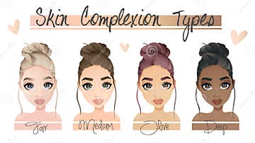 Four Different Skin Complexion Types Stock Vector - Illustration of ...