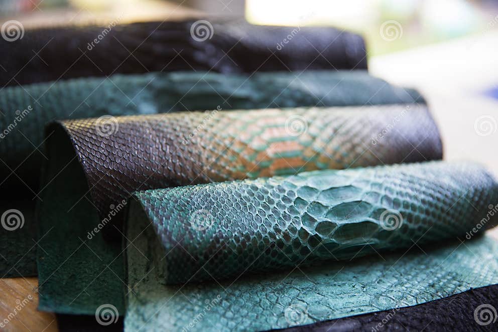 Four Different Tones of Trendy Green Painted Snake Python Skin Surface ...