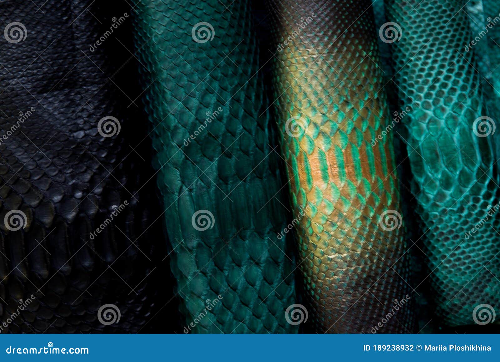 Four Different Tones of Trendy Green Painted Snake Python Skin Surface ...