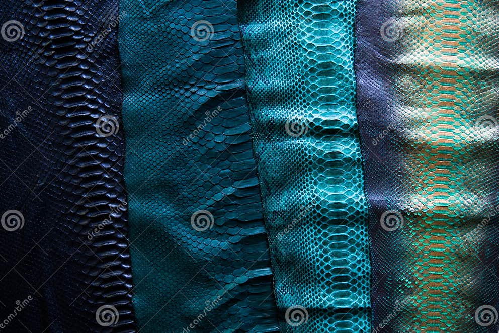 Four Different Tones of Trendy Green Painted Snake Python Skin Surface ...