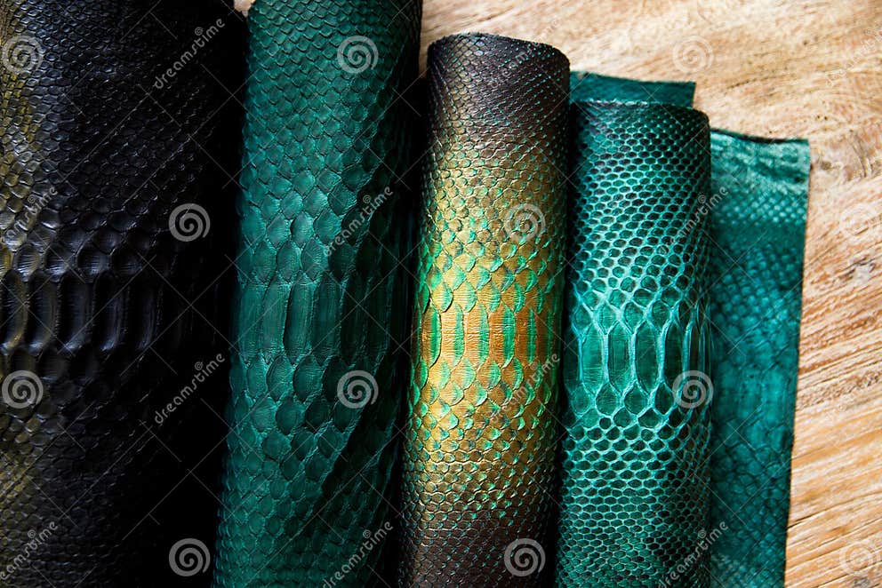 Four Different Tones of Trendy Green Painted Snake Python Skin Surface ...