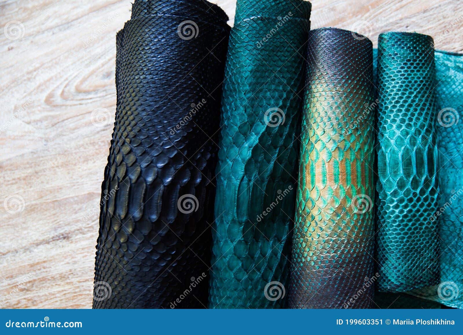 Four Different Tones of Trendy Green Painted Snake Python Skin Surface ...