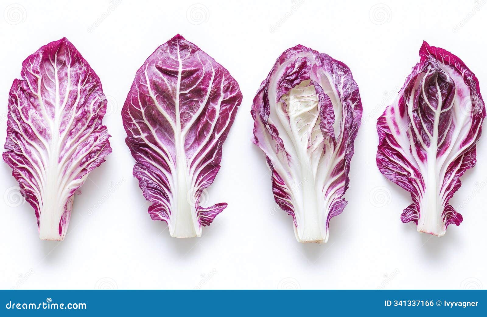 Four Different Types of Lettuce are Shown, Each with a Different Color ...