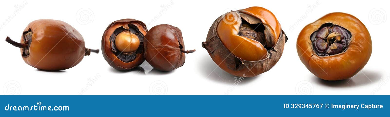 Four Different Types of Nuts are Shown in a Row. Isolated on ...