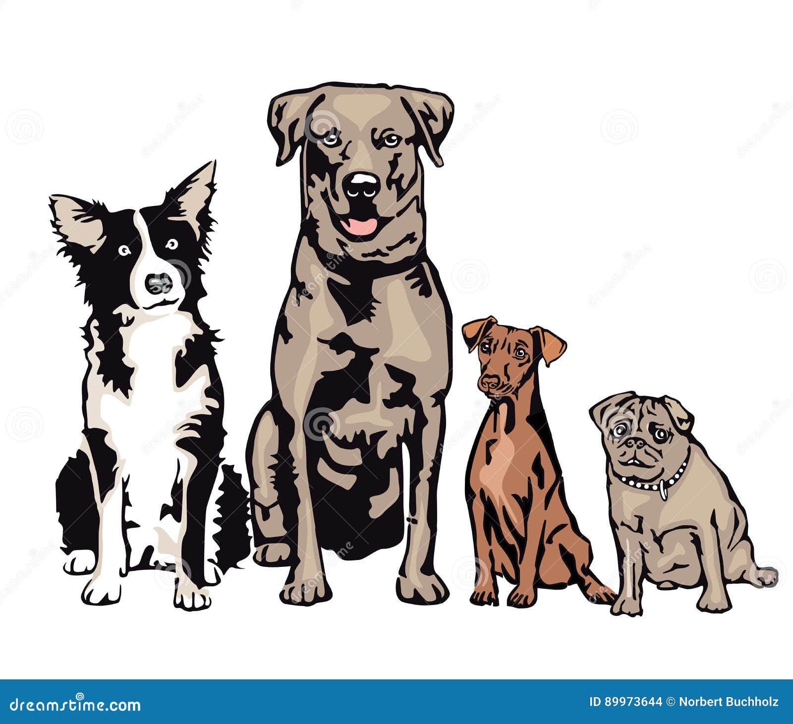 Four dogs waiting stock vector. Illustration of border - 89973644