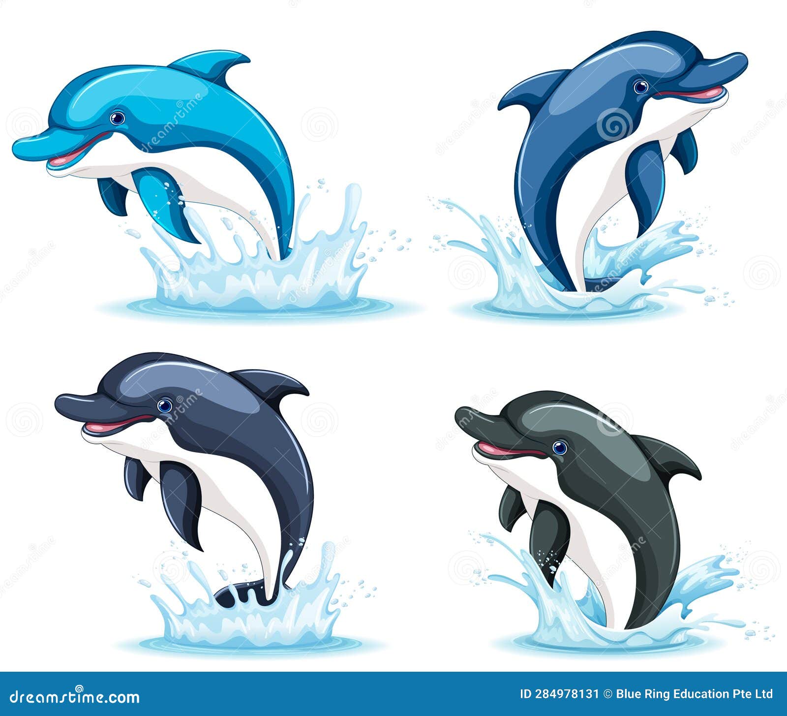 Set Of Four Dolphins Jumping With Water Splash. Hand Texture Lettering ...
