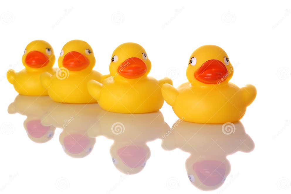 The Four Ducks stock image. Image of rubber, games, leisure - 7885959