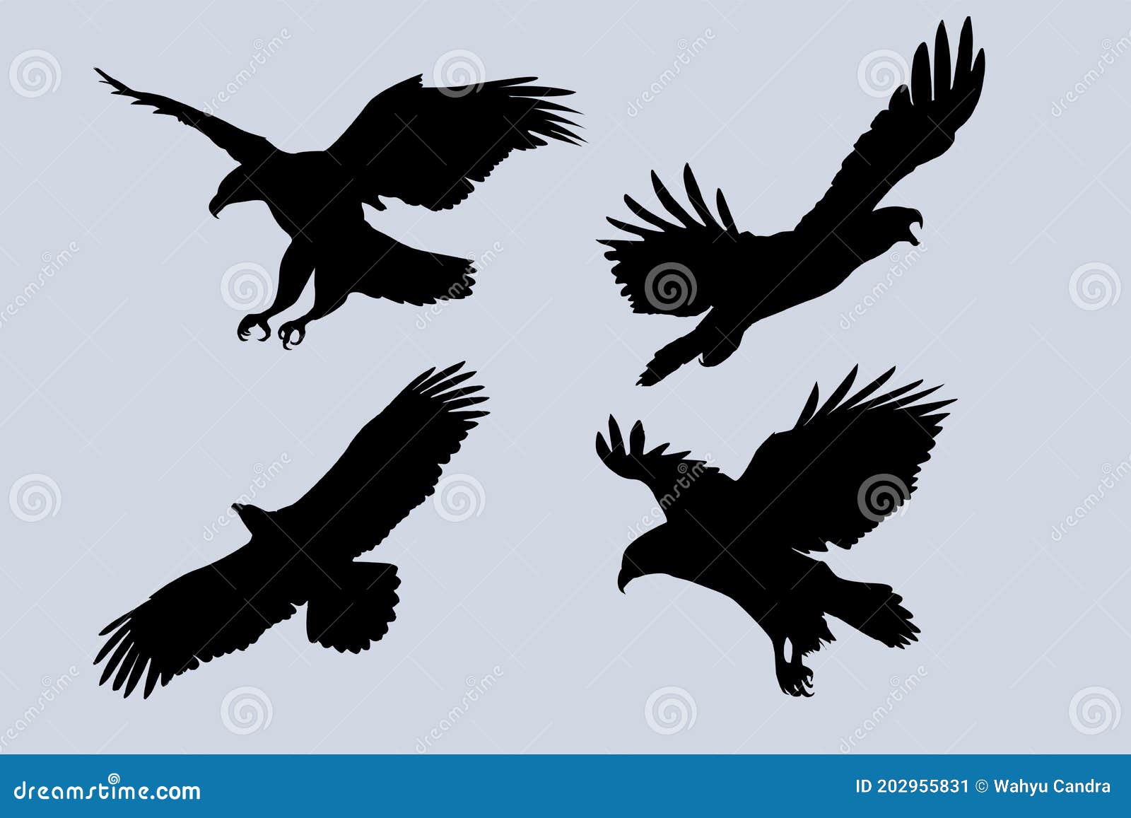 A Set Of Eagles Silhouettes Vector Illustration | CartoonDealer.com ...