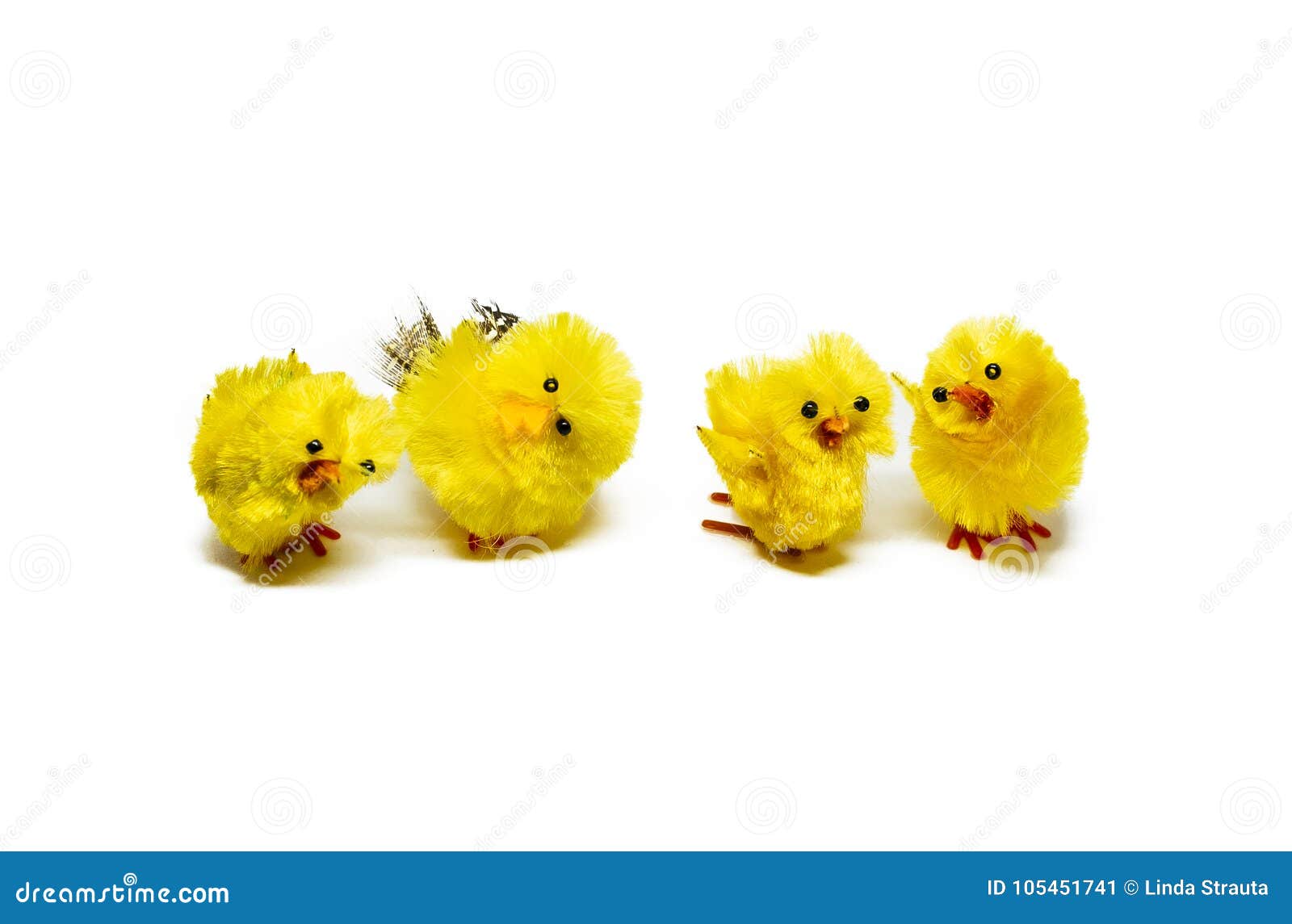 Chickens Dancing Stock Photos - Free & Royalty-Free Stock Photos from ...