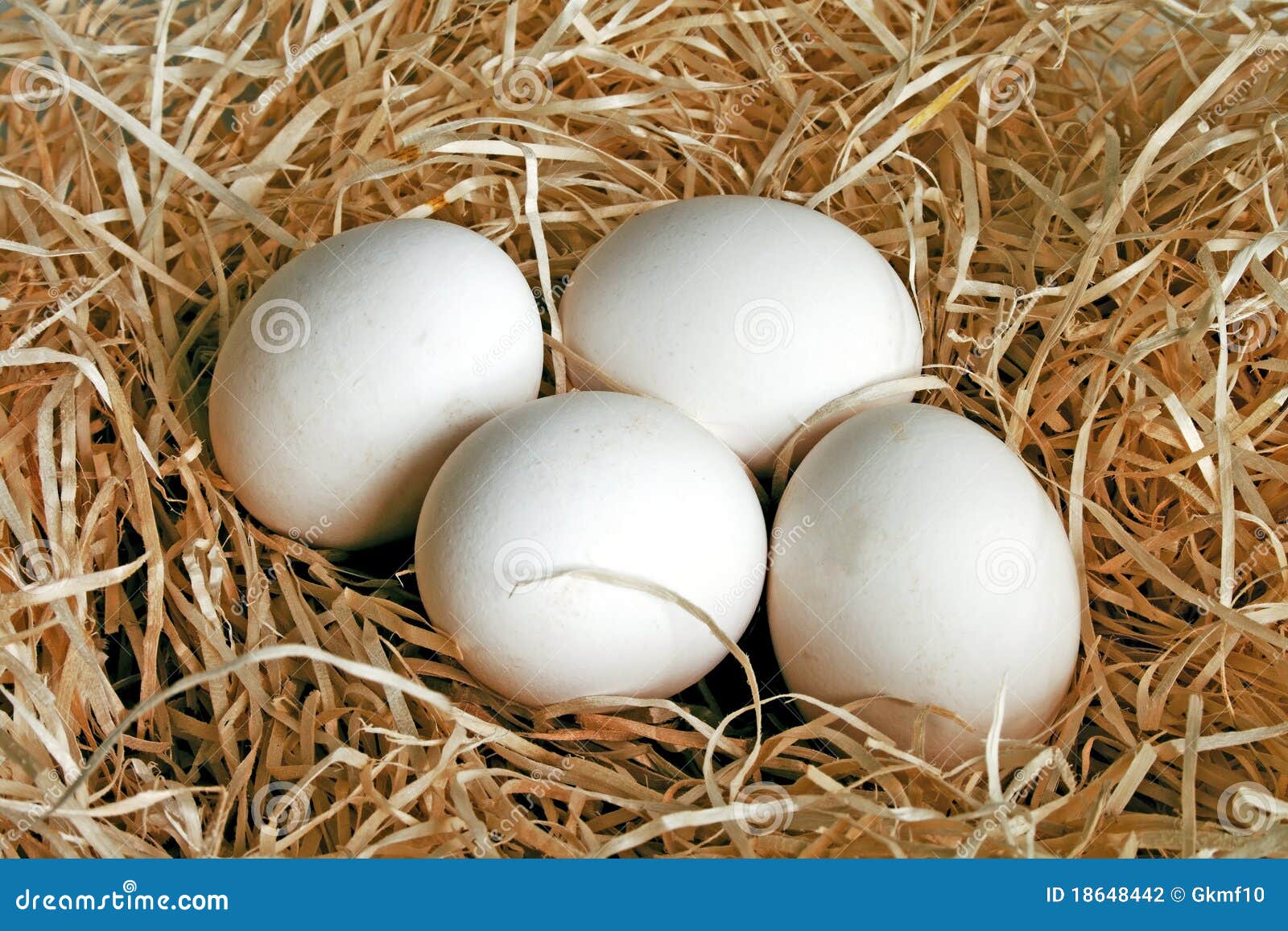 Four eggs of a hens stock photo. Image of protein, eggs - 18648442