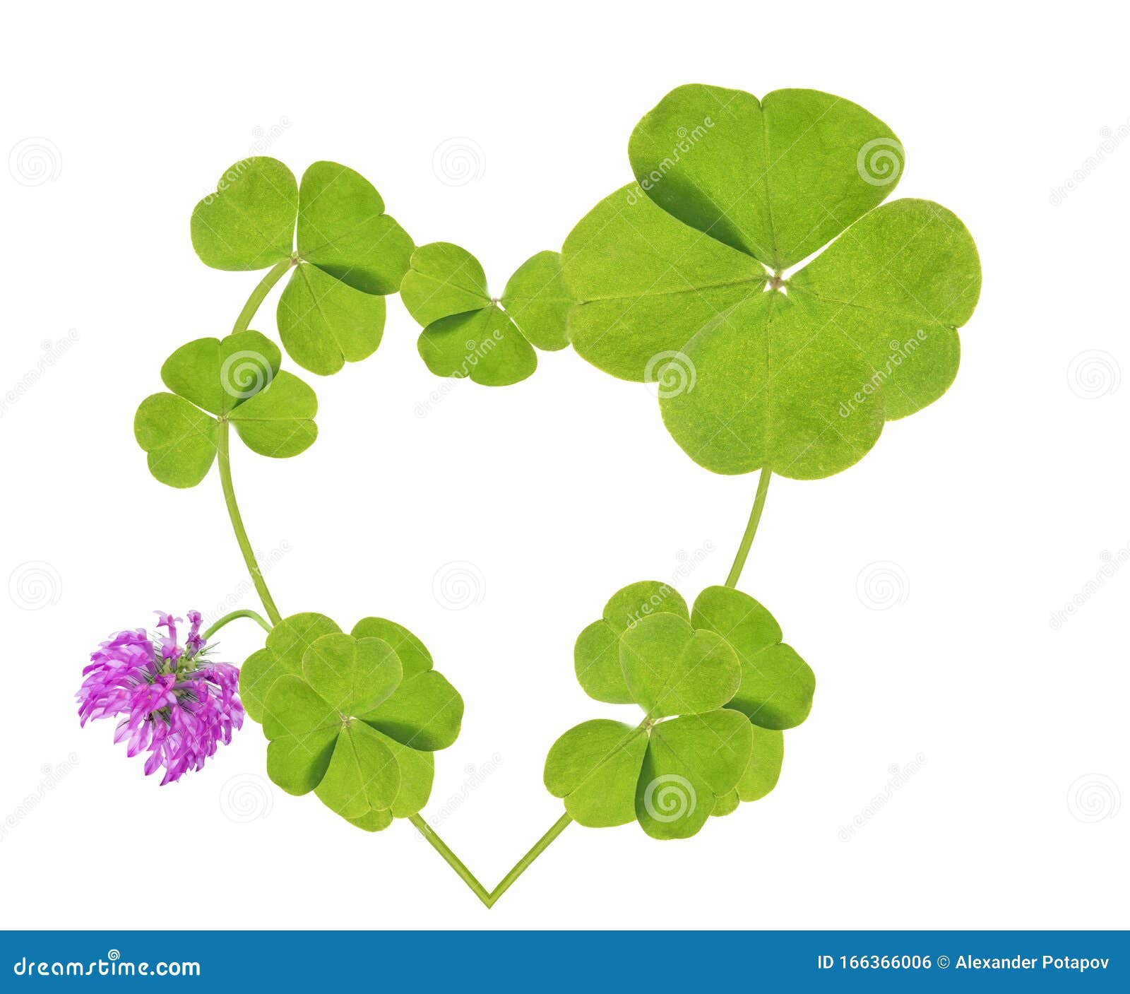 Four Element Clover Leaf in Green Heart Symbol Stock Photo - Image of ...