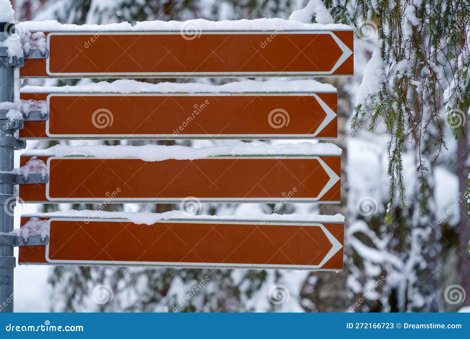 Four Empty Directional Signs in a Forest in Winter Stock Image - Image ...