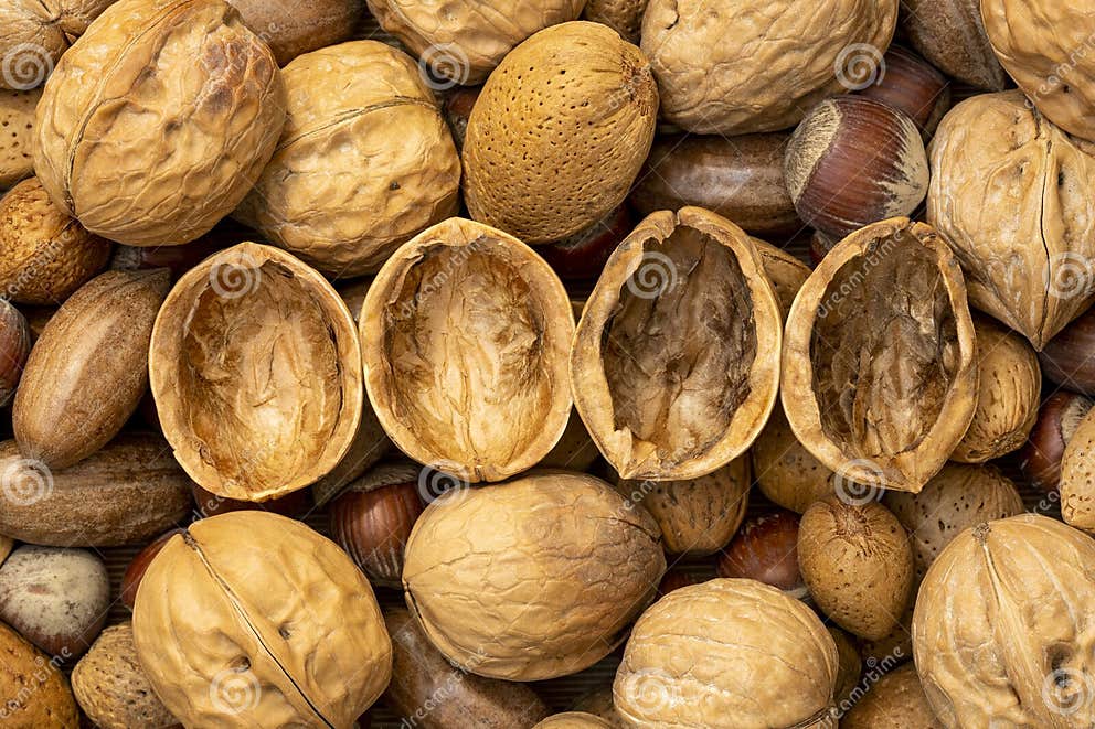 Four Empty Nutshells on the Pile of Various Nuts Stock Image - Image of ...