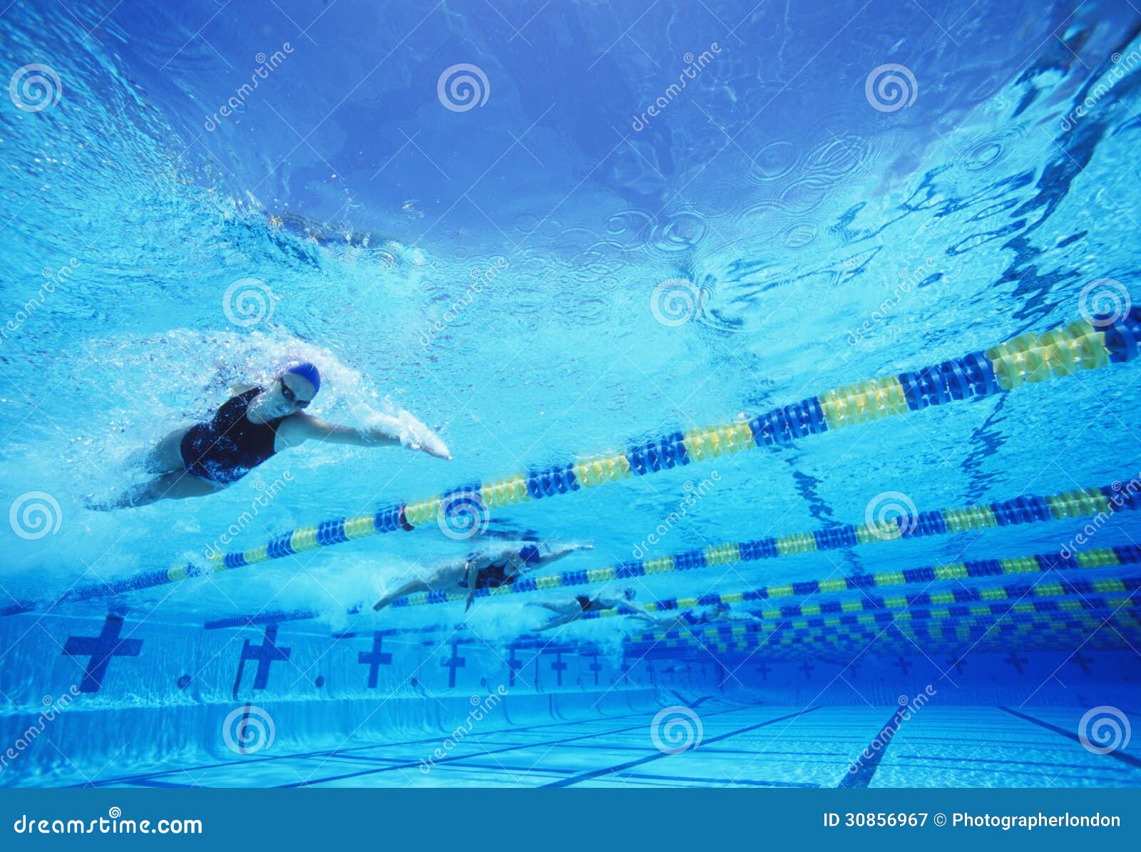 Four Female Professional Participants Racing in Pool Stock Image ...