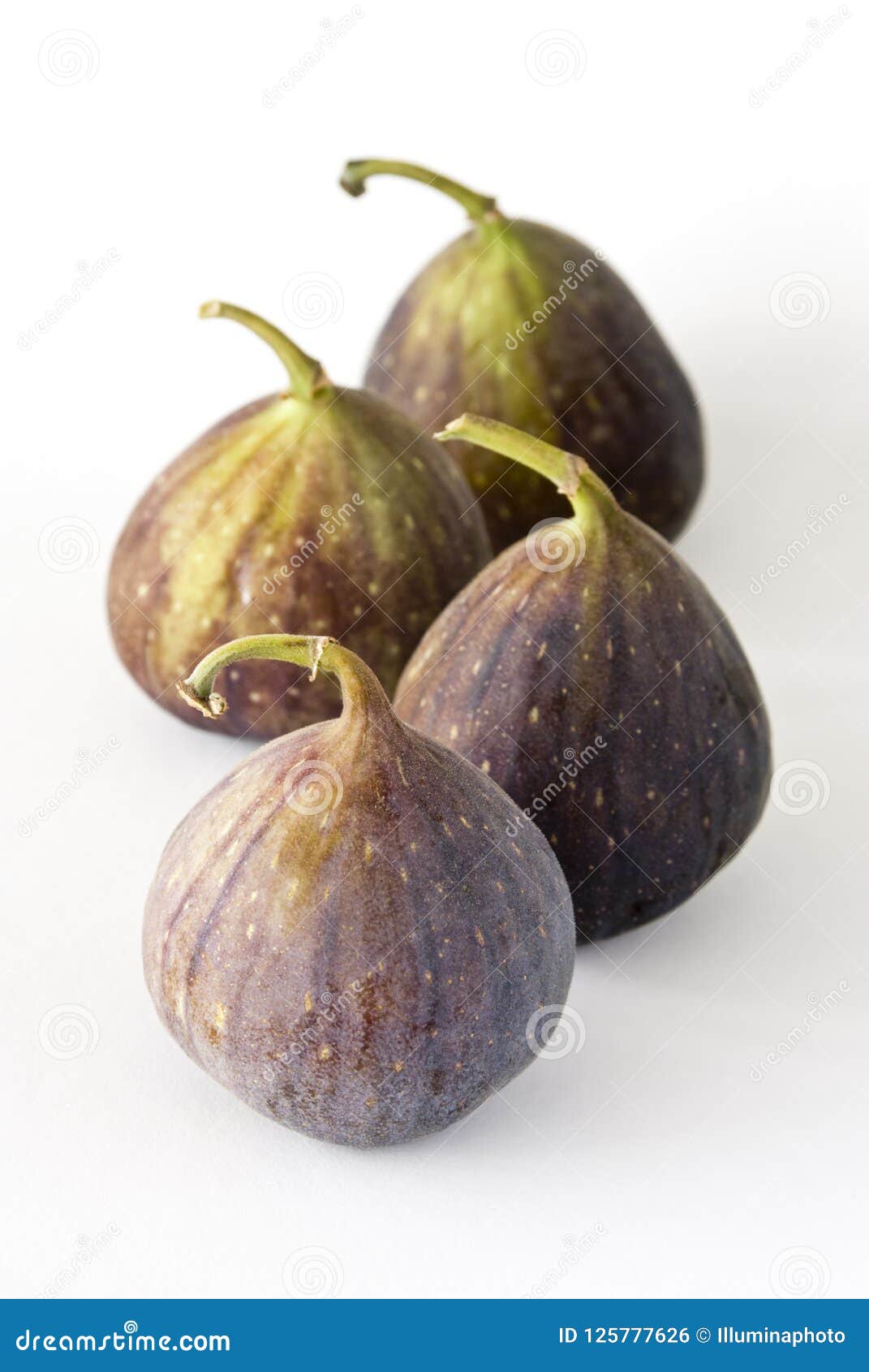 Four Fig Fruits on a White Background. Stock Photo - Image of gourmet ...
