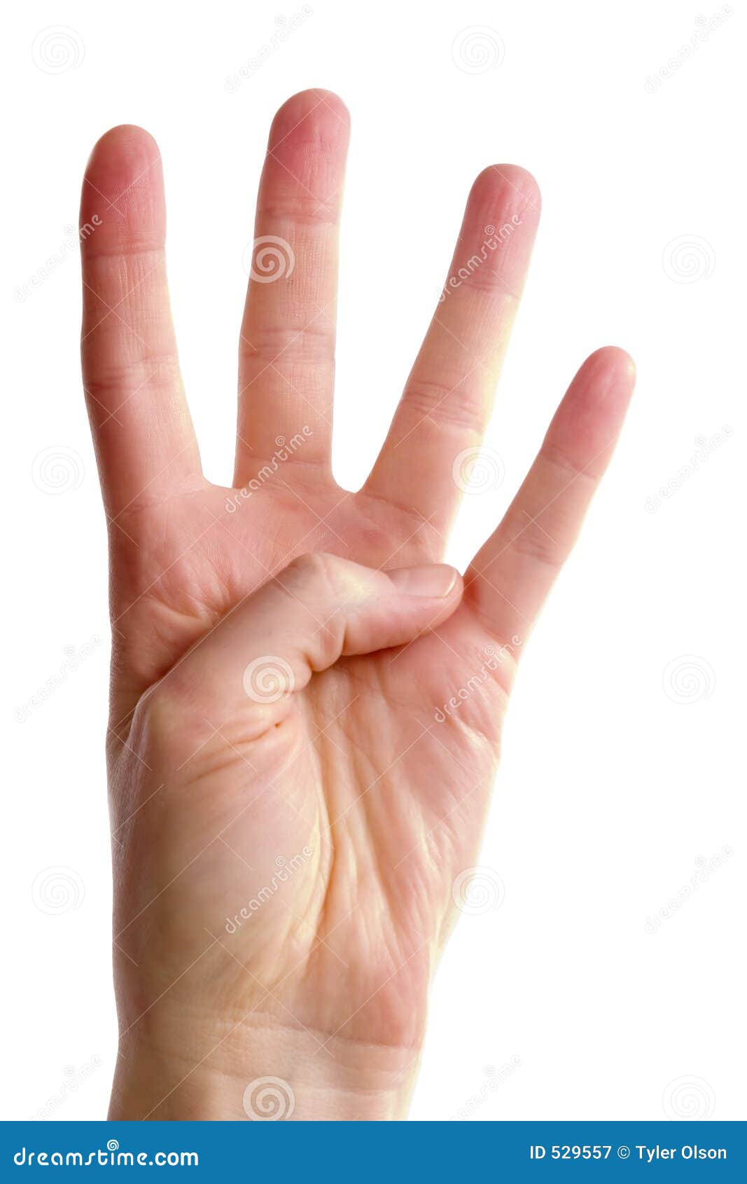 Four Fingers Royalty Free Stock Photography - Image: 529557