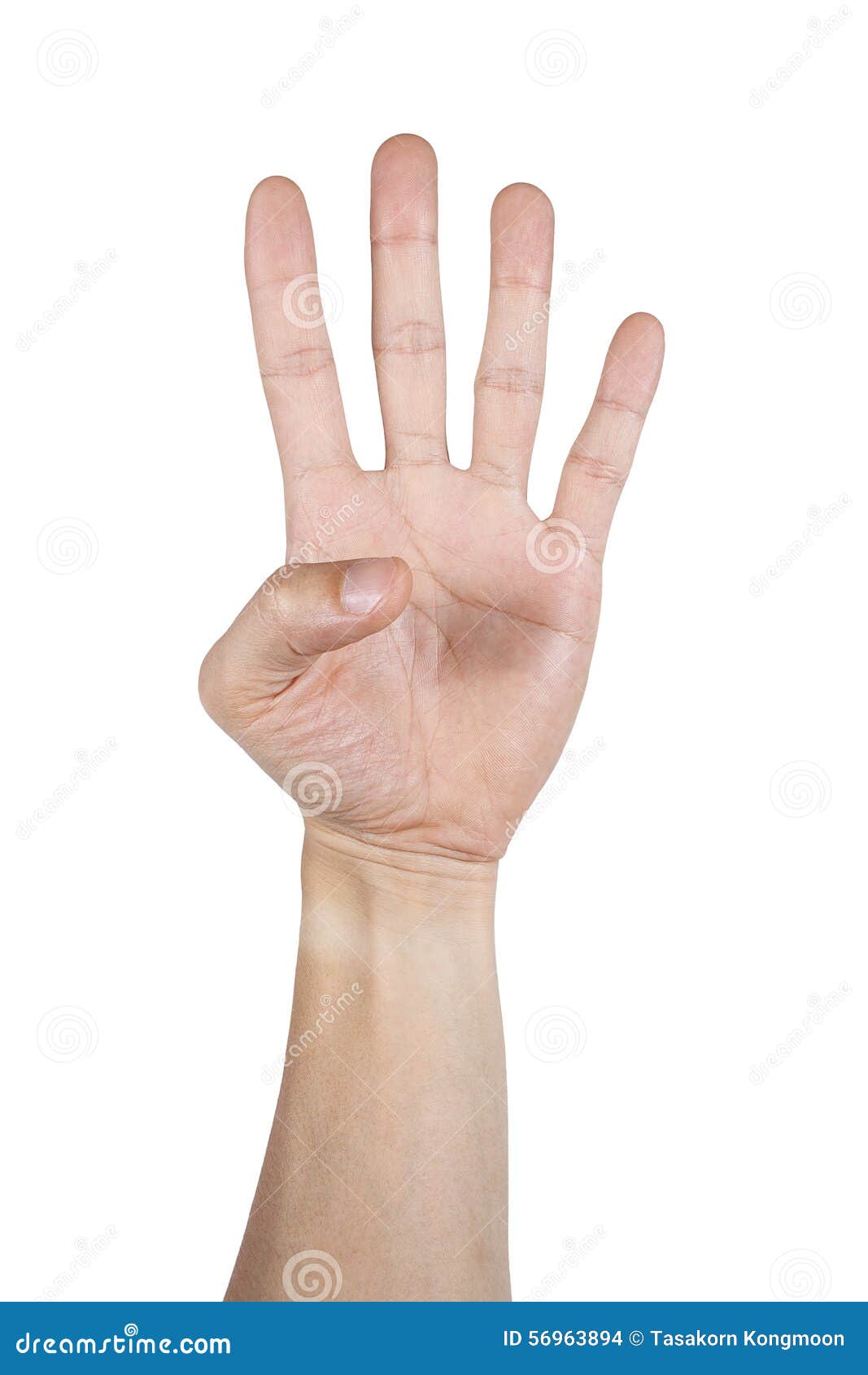 Four Fingers Sign by Hand Isolated on White Stock Photo - Image of ...