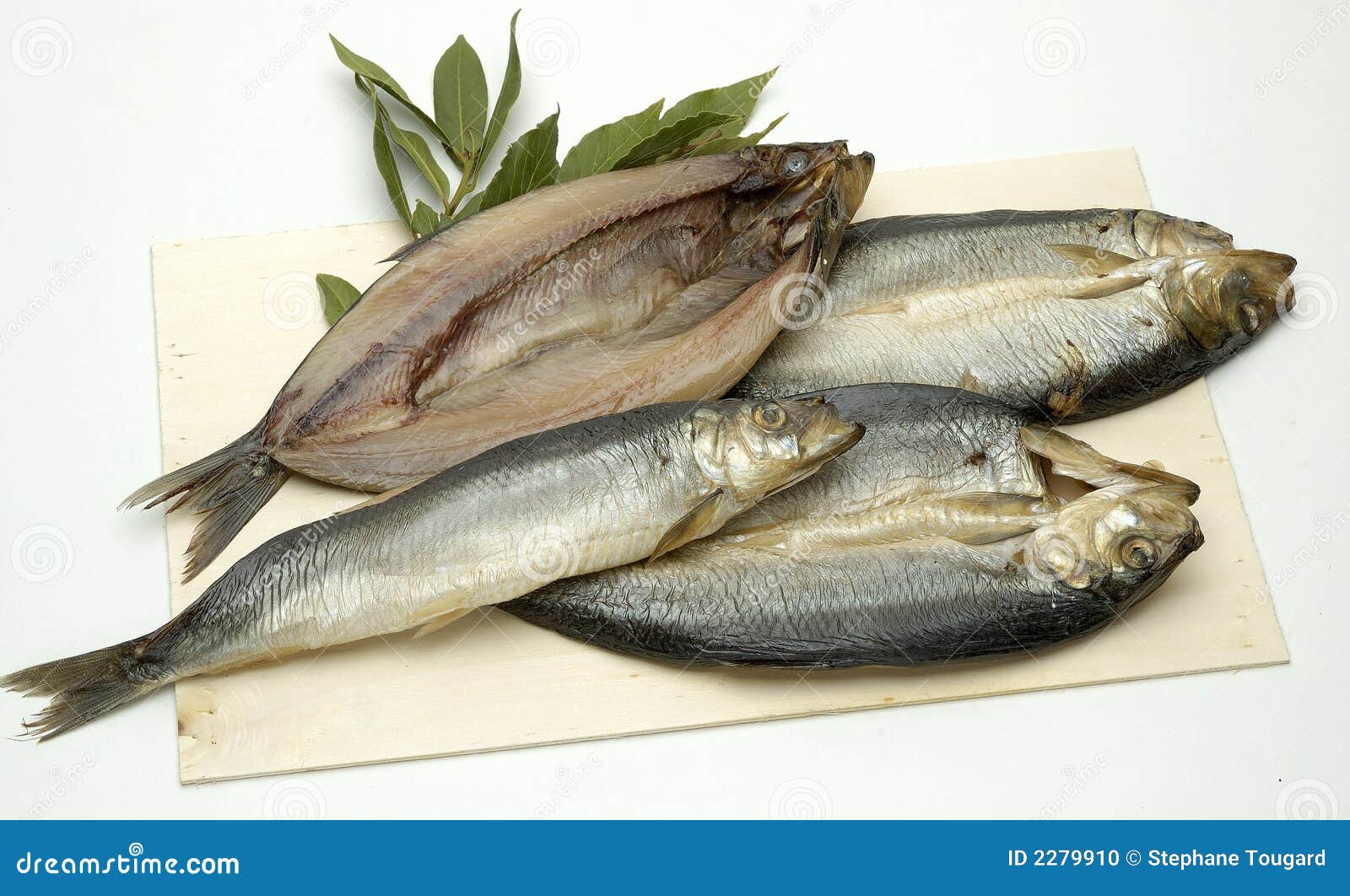 6,072 Four Fish Stock Photos - Free & Royalty-Free Stock Photos from ...