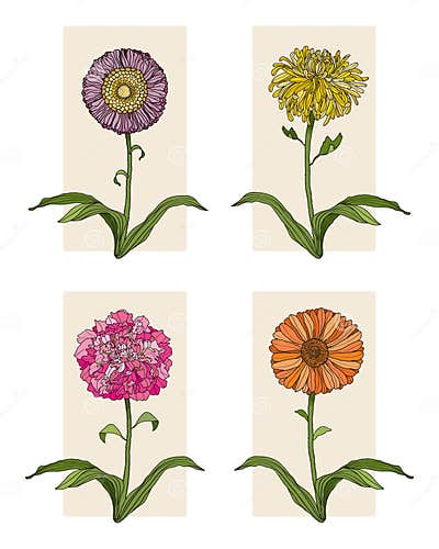 Four Flowers stock vector. Illustration of purple, yellow - 8904197