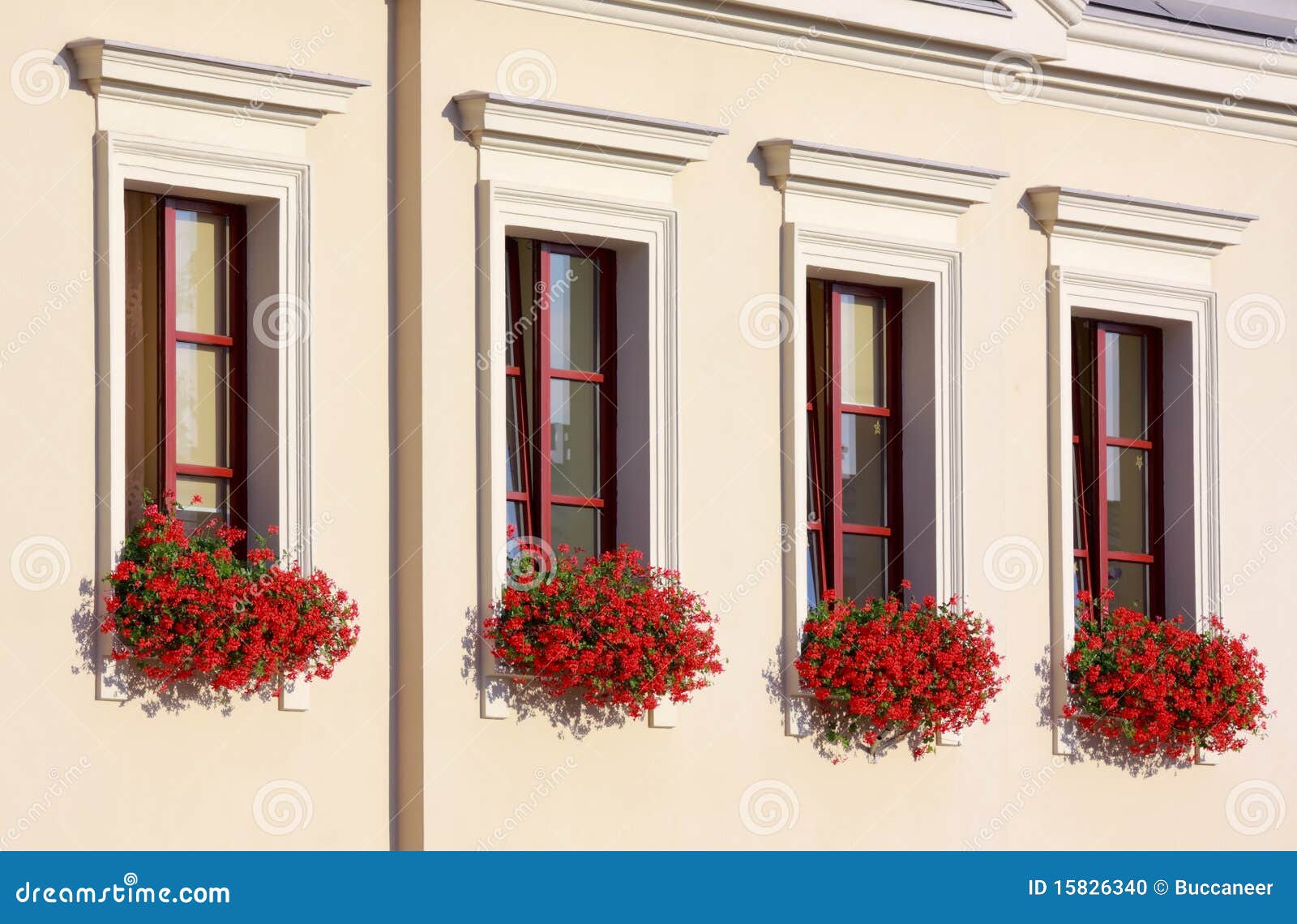 Four Flowery Windows in a Row Stock Photo - Image of order, windows ...
