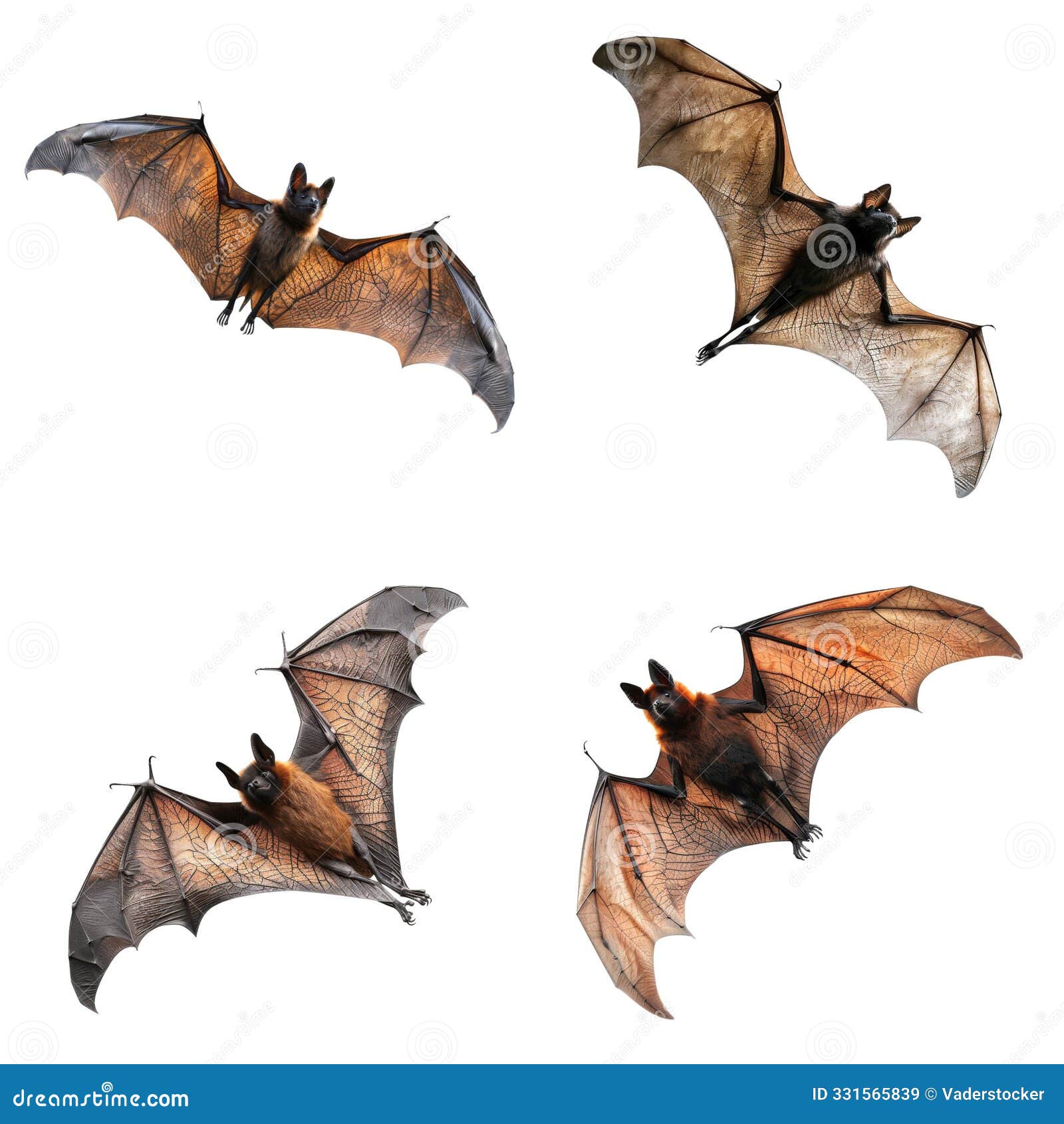 Fruitbat Cartoons, Illustrations & Vector Stock Images - 55 Pictures to ...