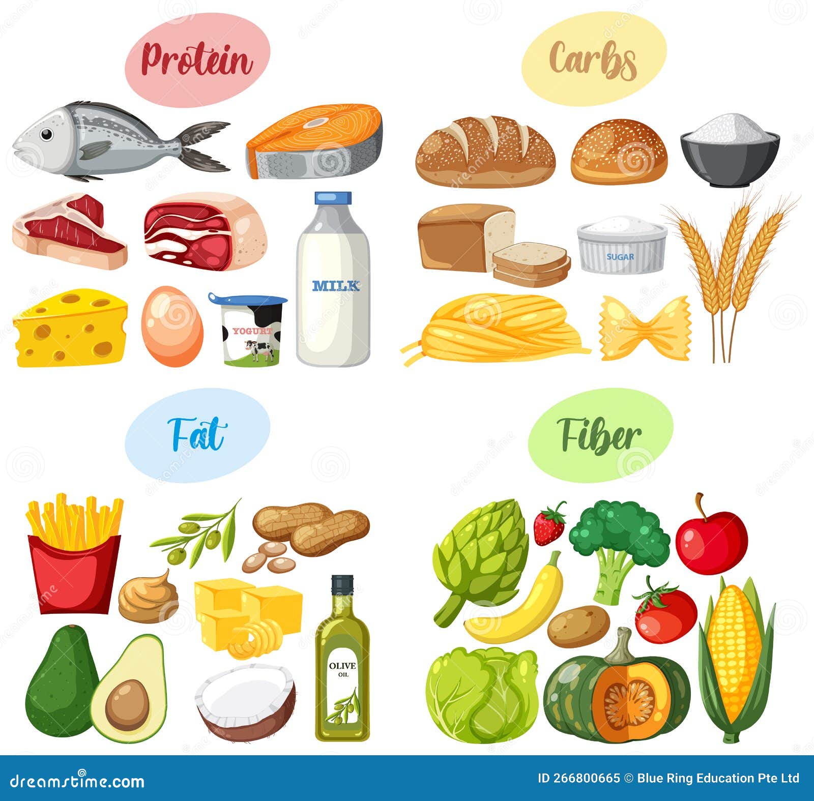 The four food groups stock vector. Illustration of clip - 266800665