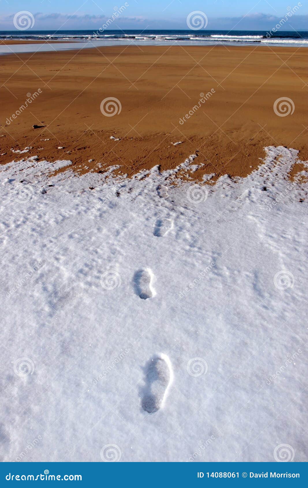 Four Footprints in Snow on Beach on a Cold Winter Stock Image - Image ...