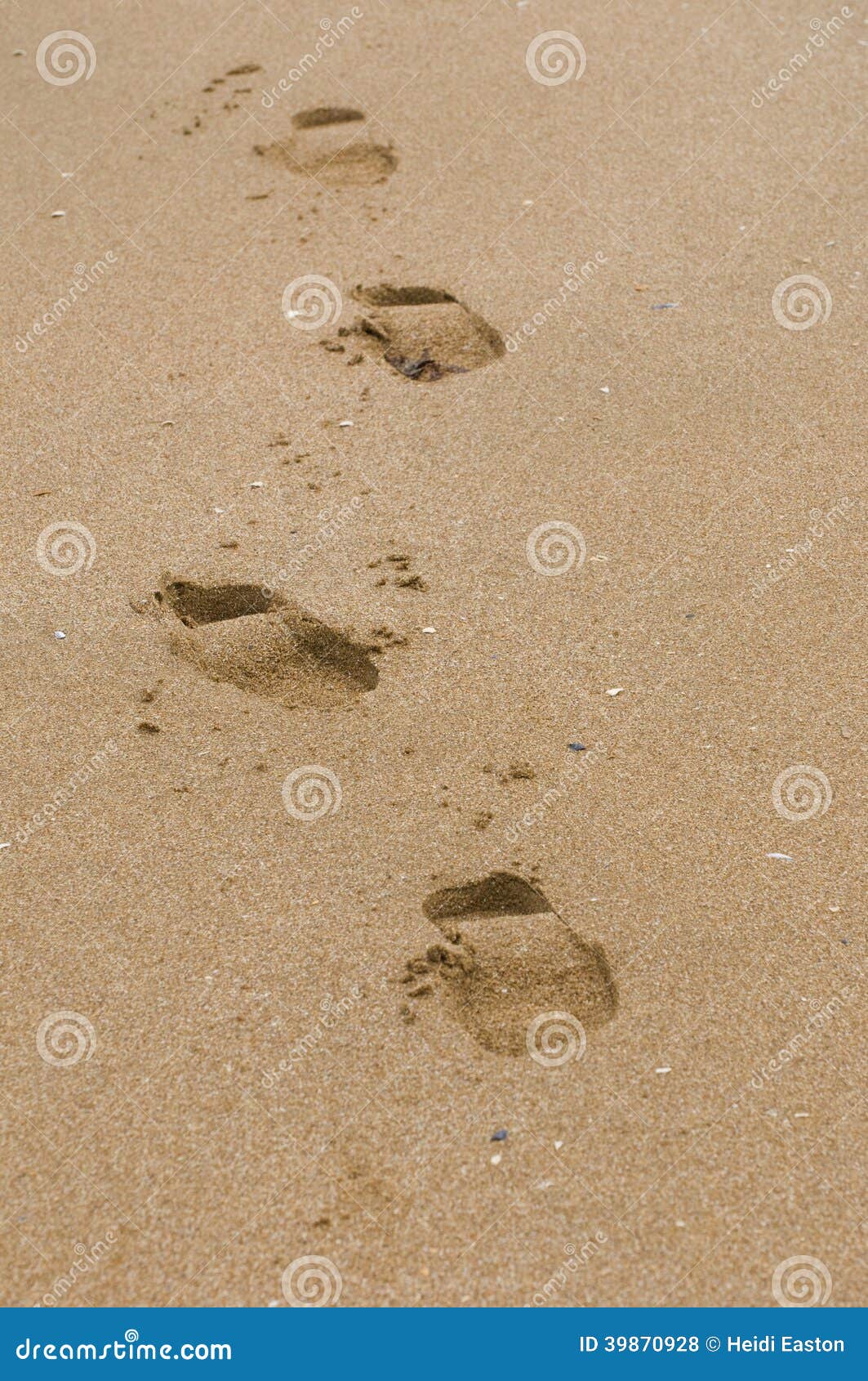 Four footprints stock photo. Image of feet, empty, background - 39870928