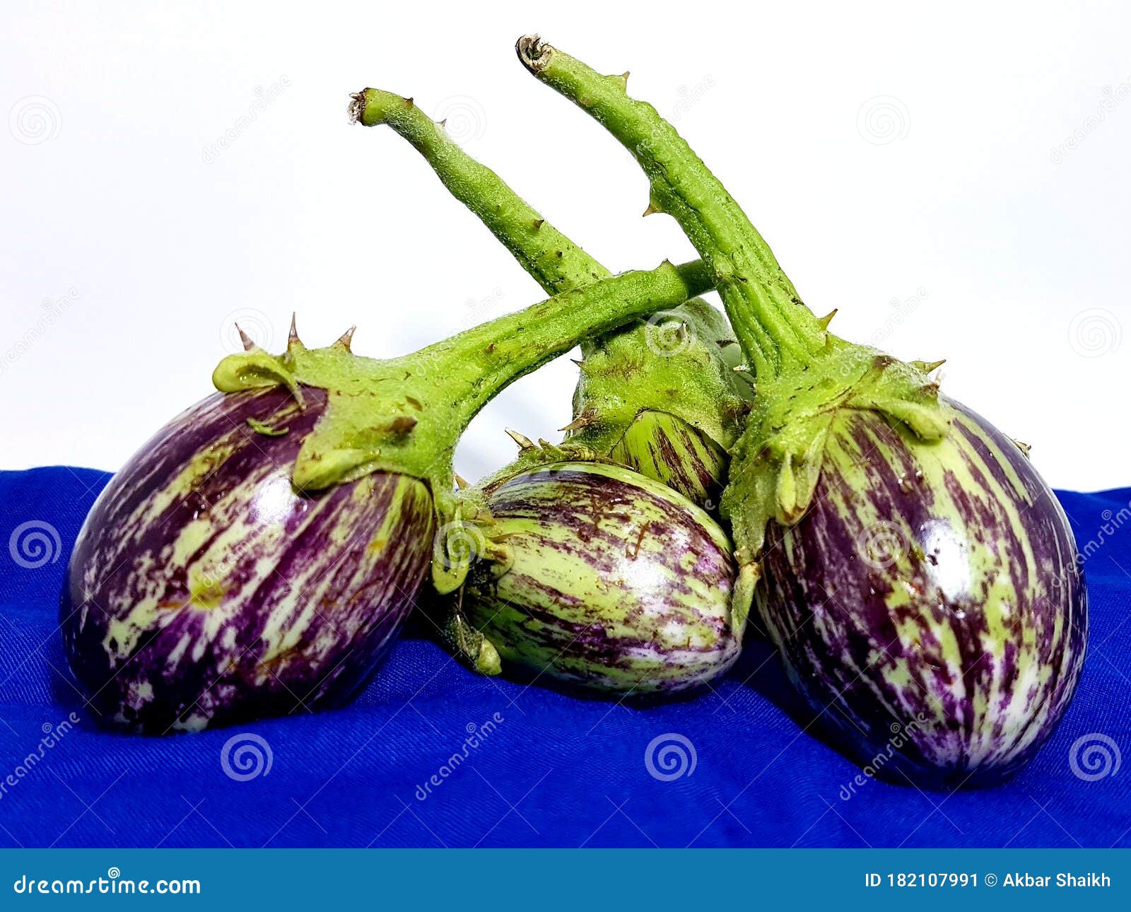 Four Fresh Bringel with White and Blue Background. Stock Image - Image ...