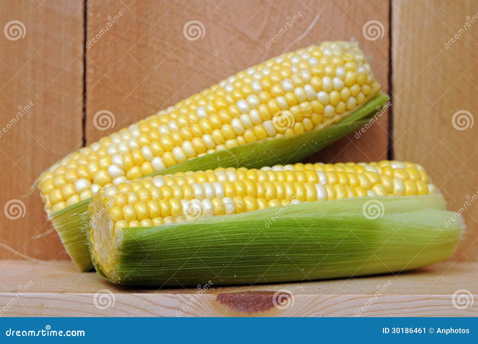Four fresh corns stock image. Image of ingredient, husk - 30186461