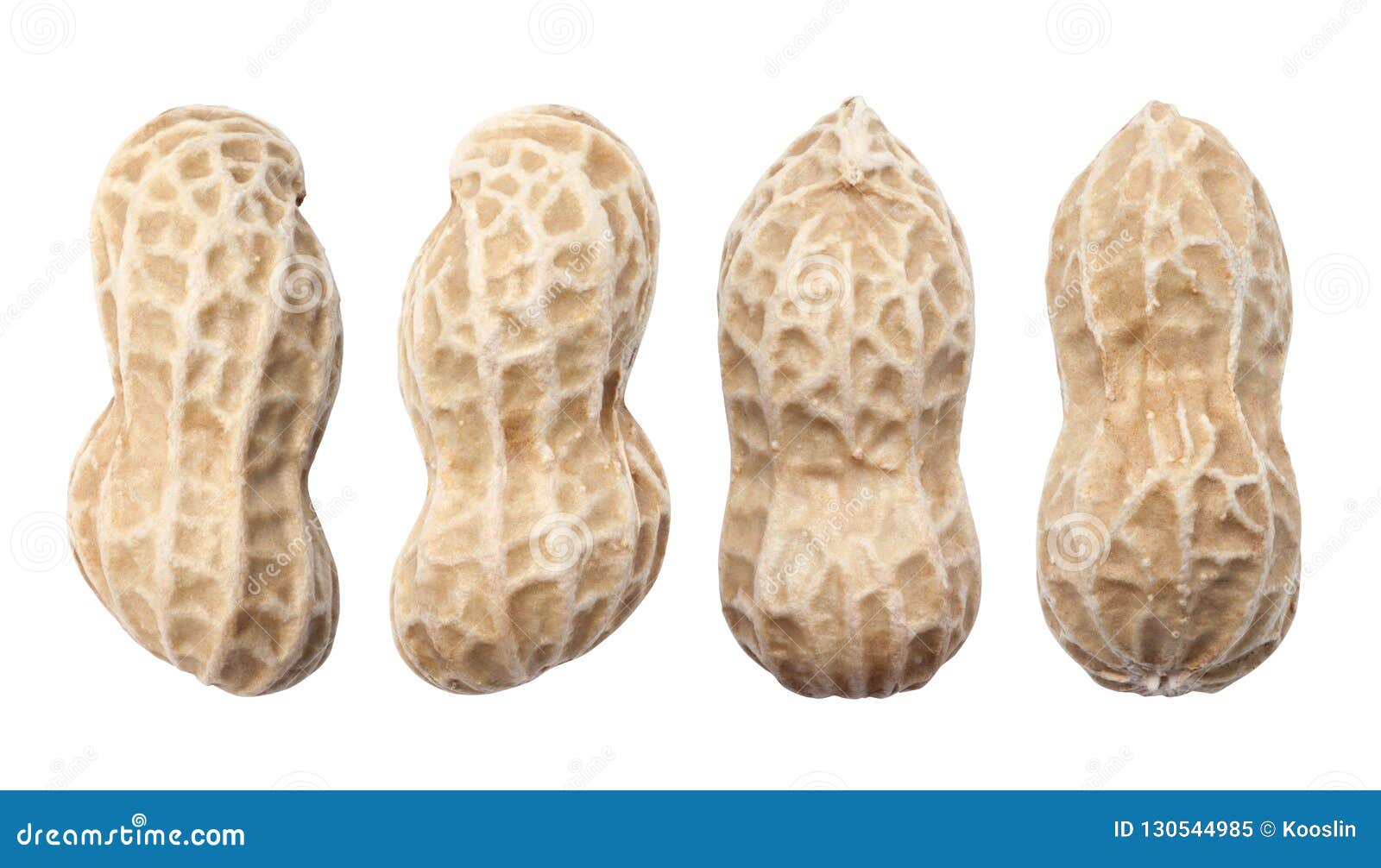 Peanuts. Four Nut Kernels With Open Shell, Isolated On White Background ...