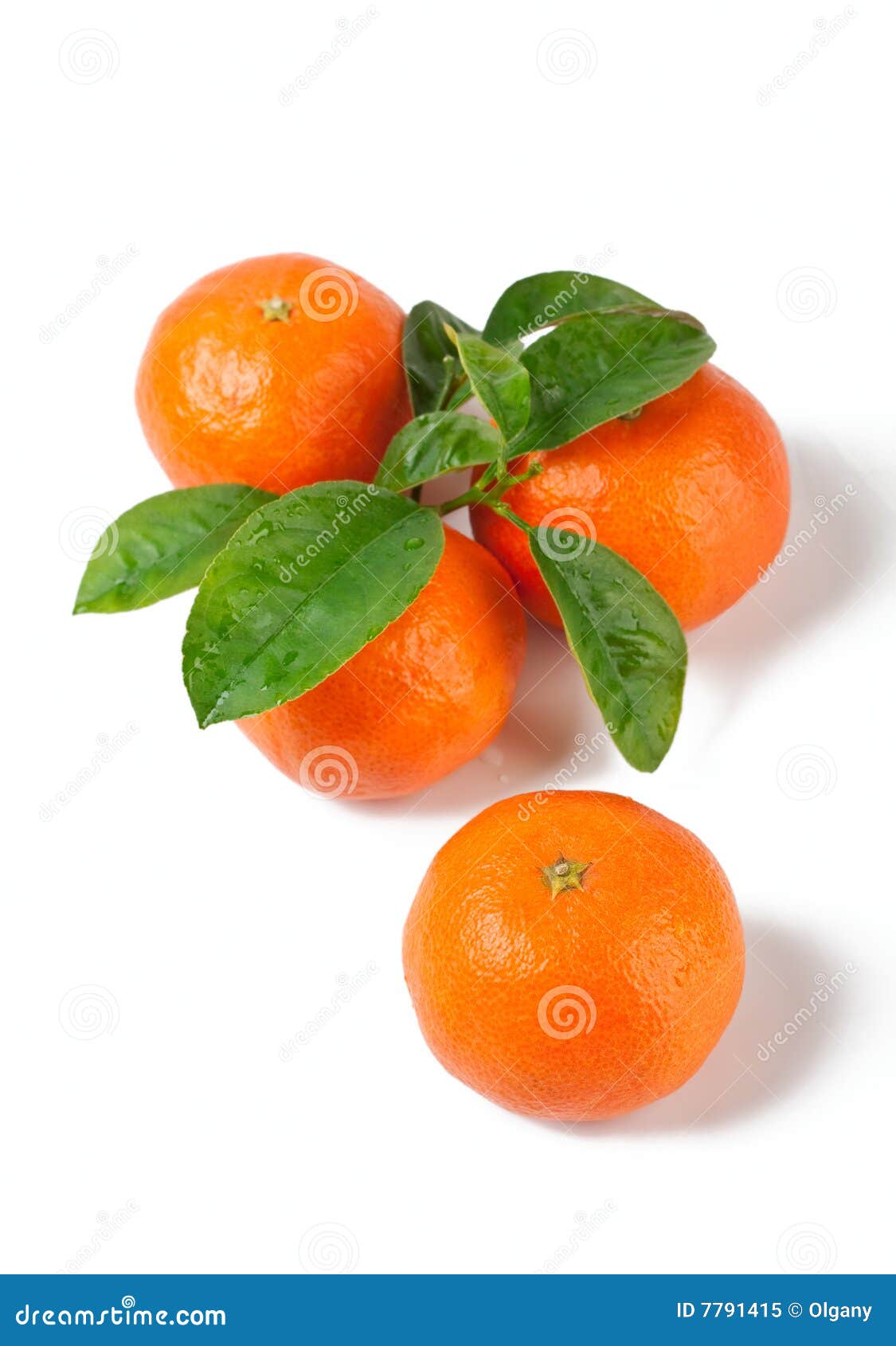 Four Fresh Tangerines with Leaves Stock Image - Image of background ...