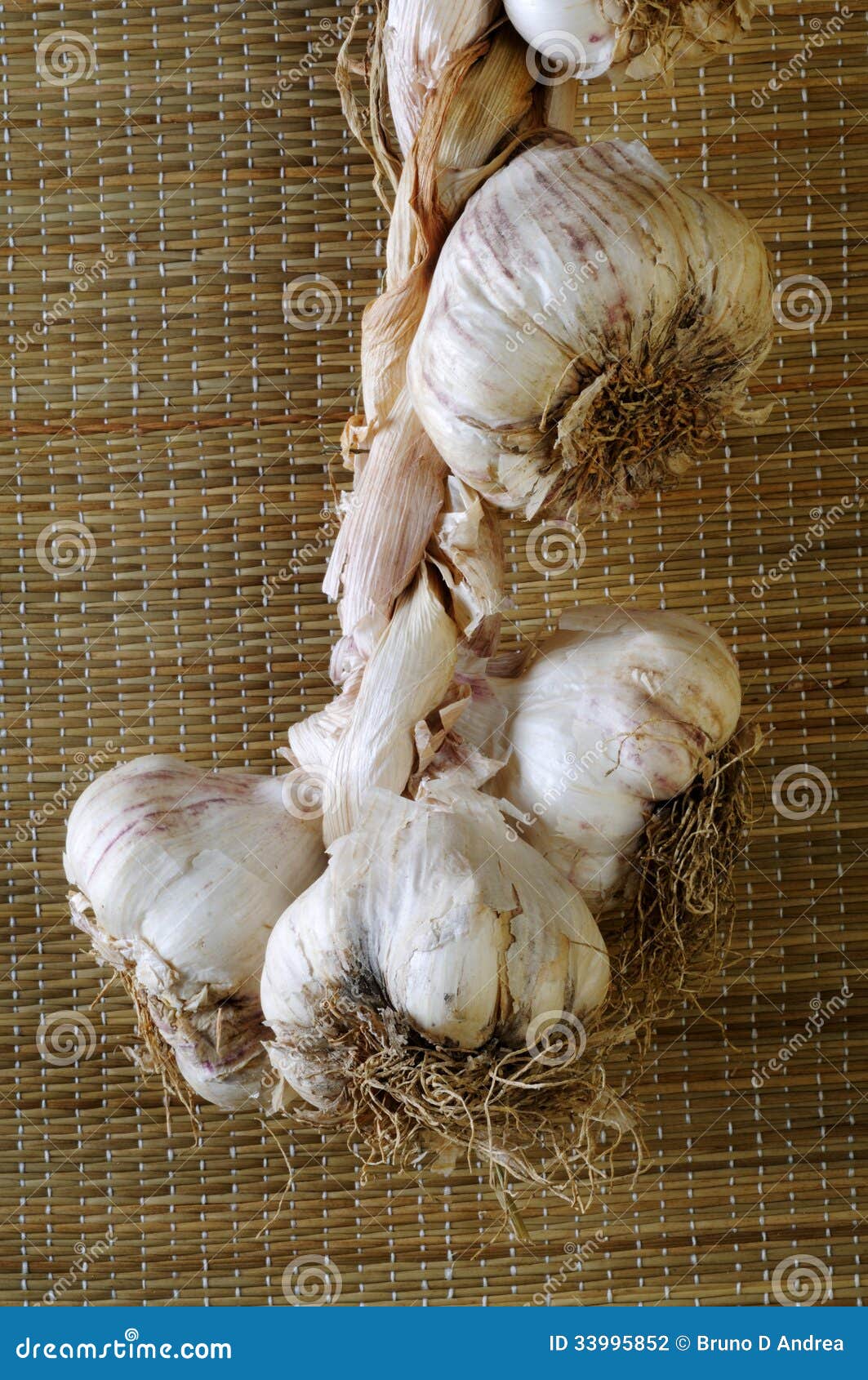 Four garlic bulbs stock photo. Image of ingredient, food - 33995852