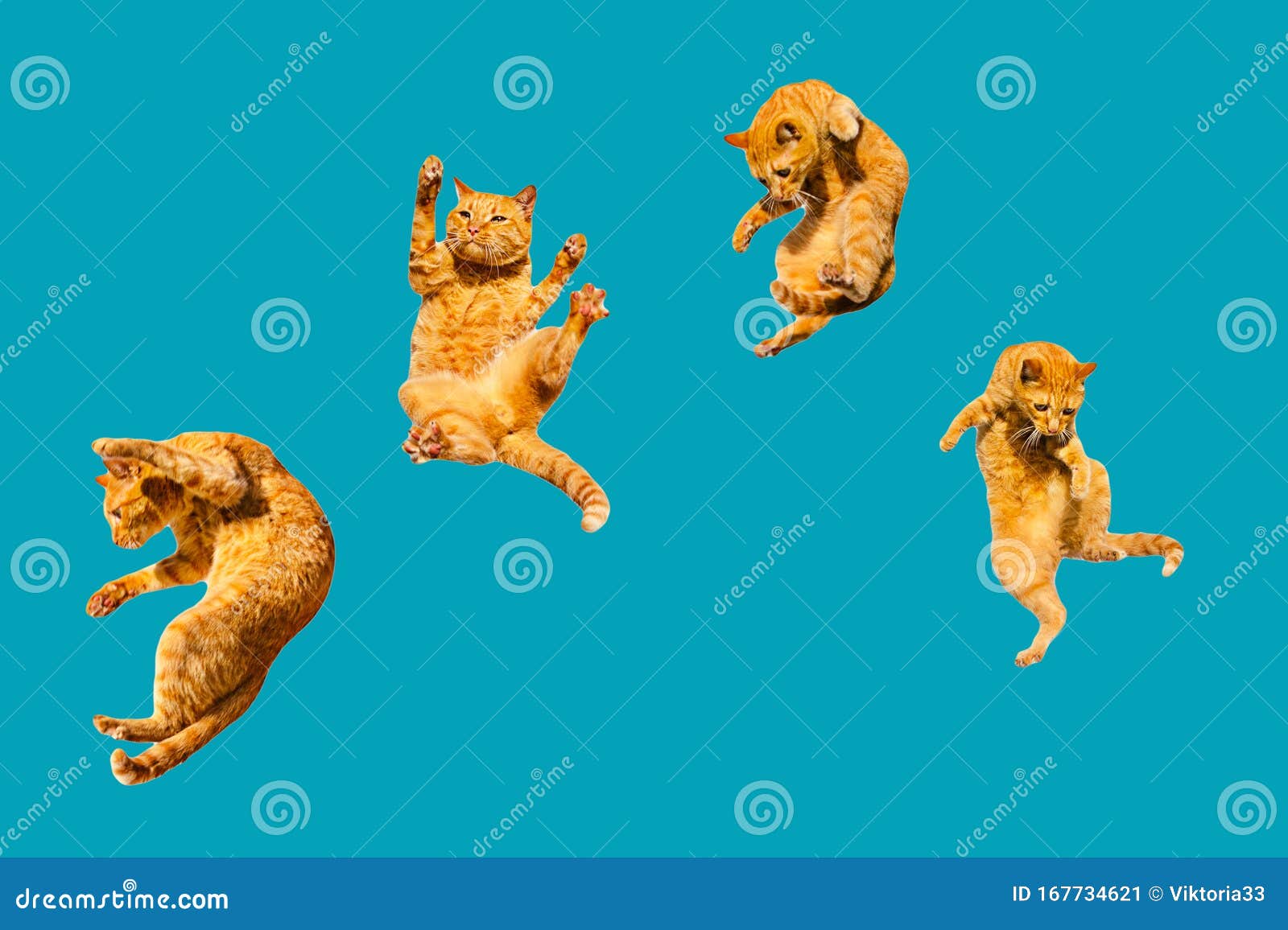 Four Ginger Flying Cats on a Blue Background Stock Image - Image of ...