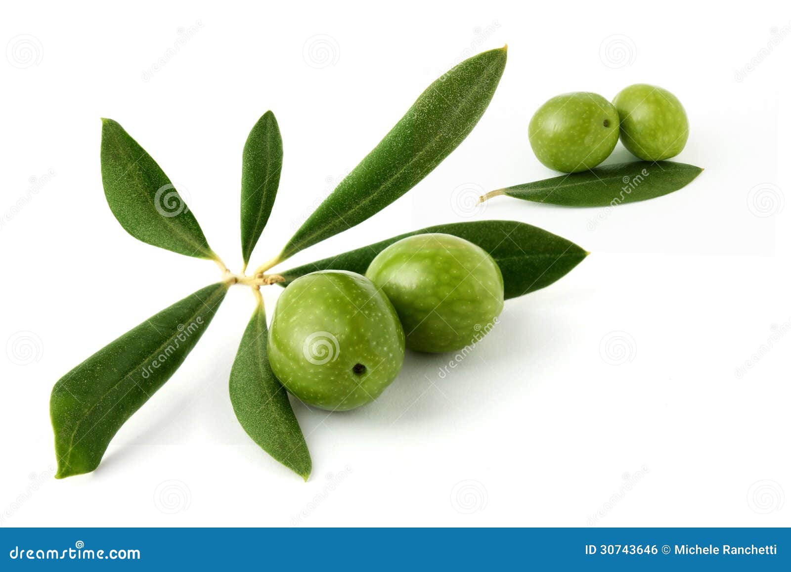 Four Green Olives and Olive Leaves Stock Photo - Image of tasty ...
