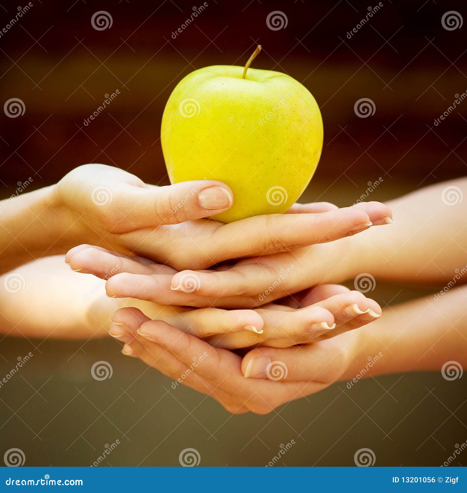 Four hand with apple stock photo. Image of food, slice - 13201056